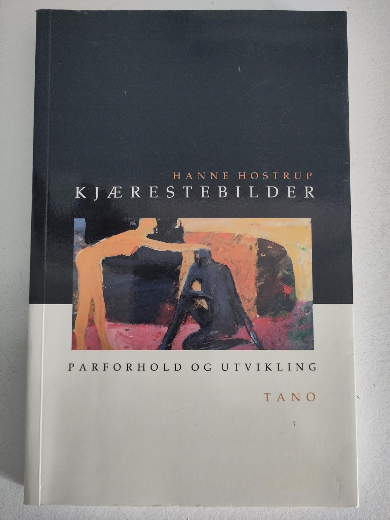 Hanne Hostrup: Kjærestebilder. Parforhold og utvikling | FINN-torget