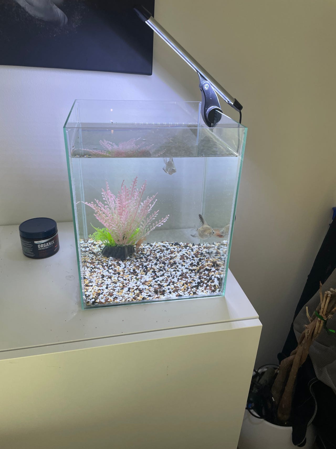 Komplett akvarie selges rimelig - kun kr 950 - verdi ca kr 3000 | FINN ...