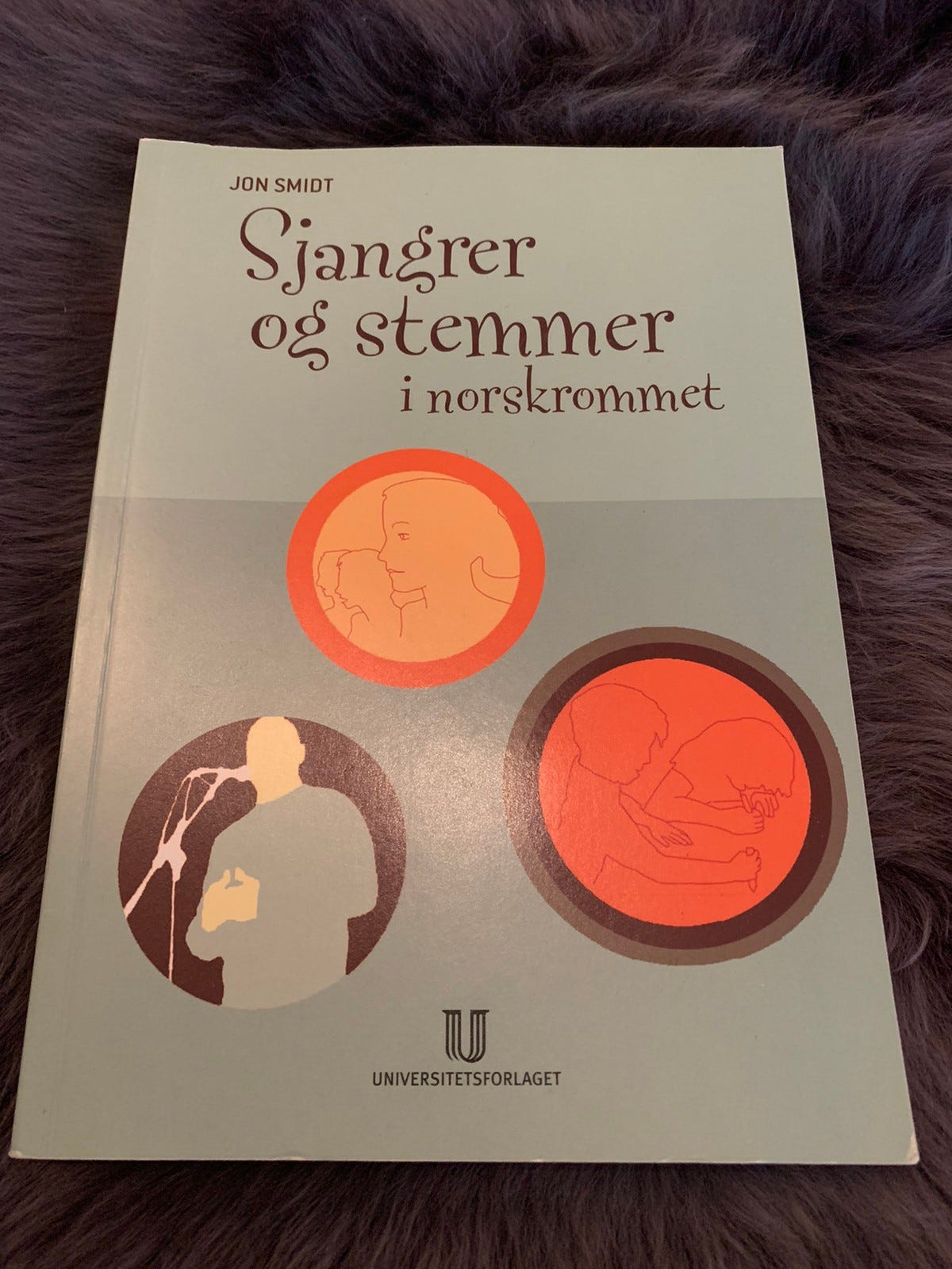 Jon Smidt: Sjangrer og stemmer i norskrommet | FINN-torget