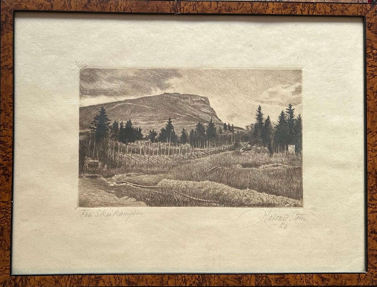 Halvard Storm trykk | FINN torget