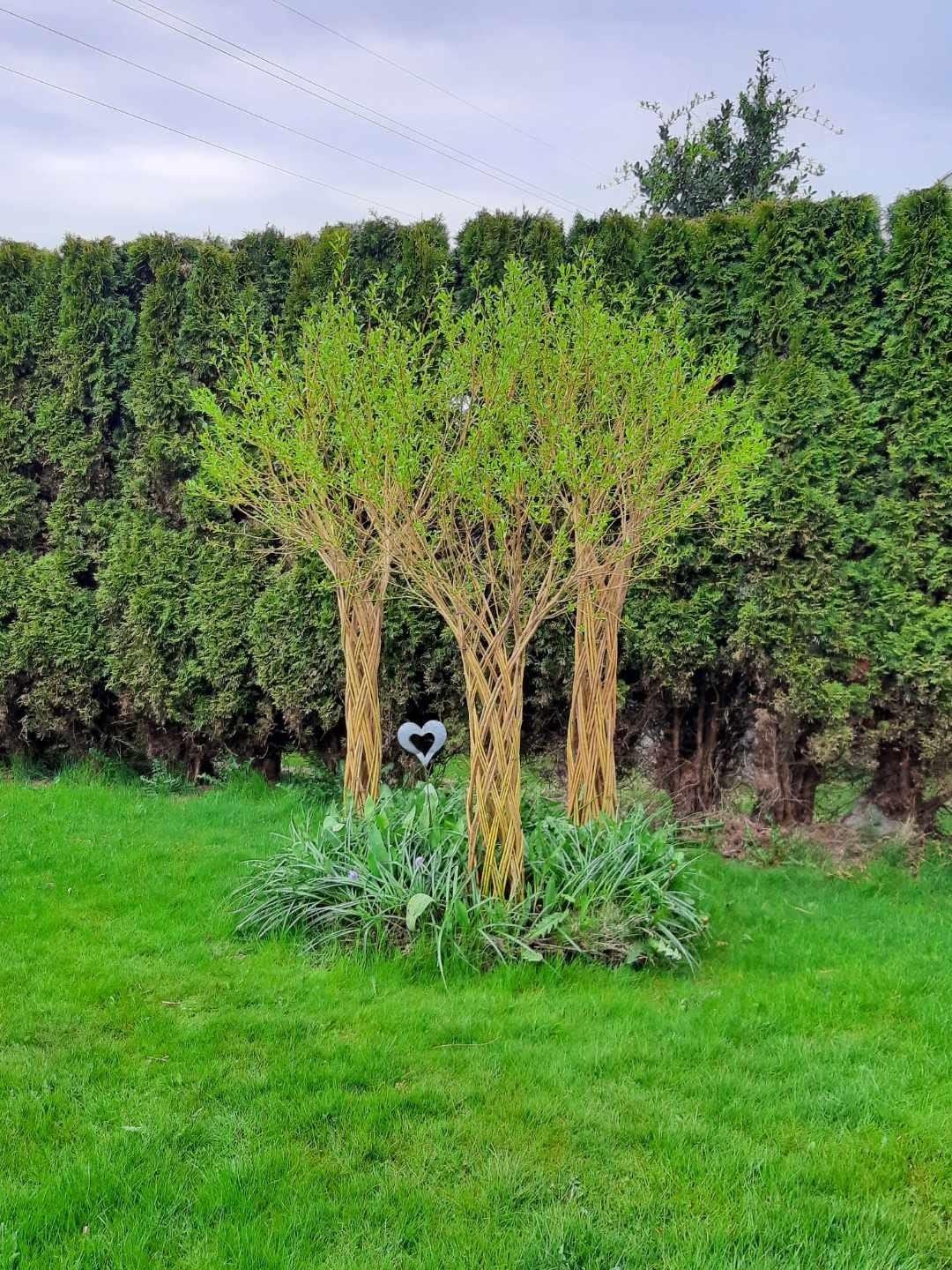 Flettet piletre - utsolgt | FINN torget