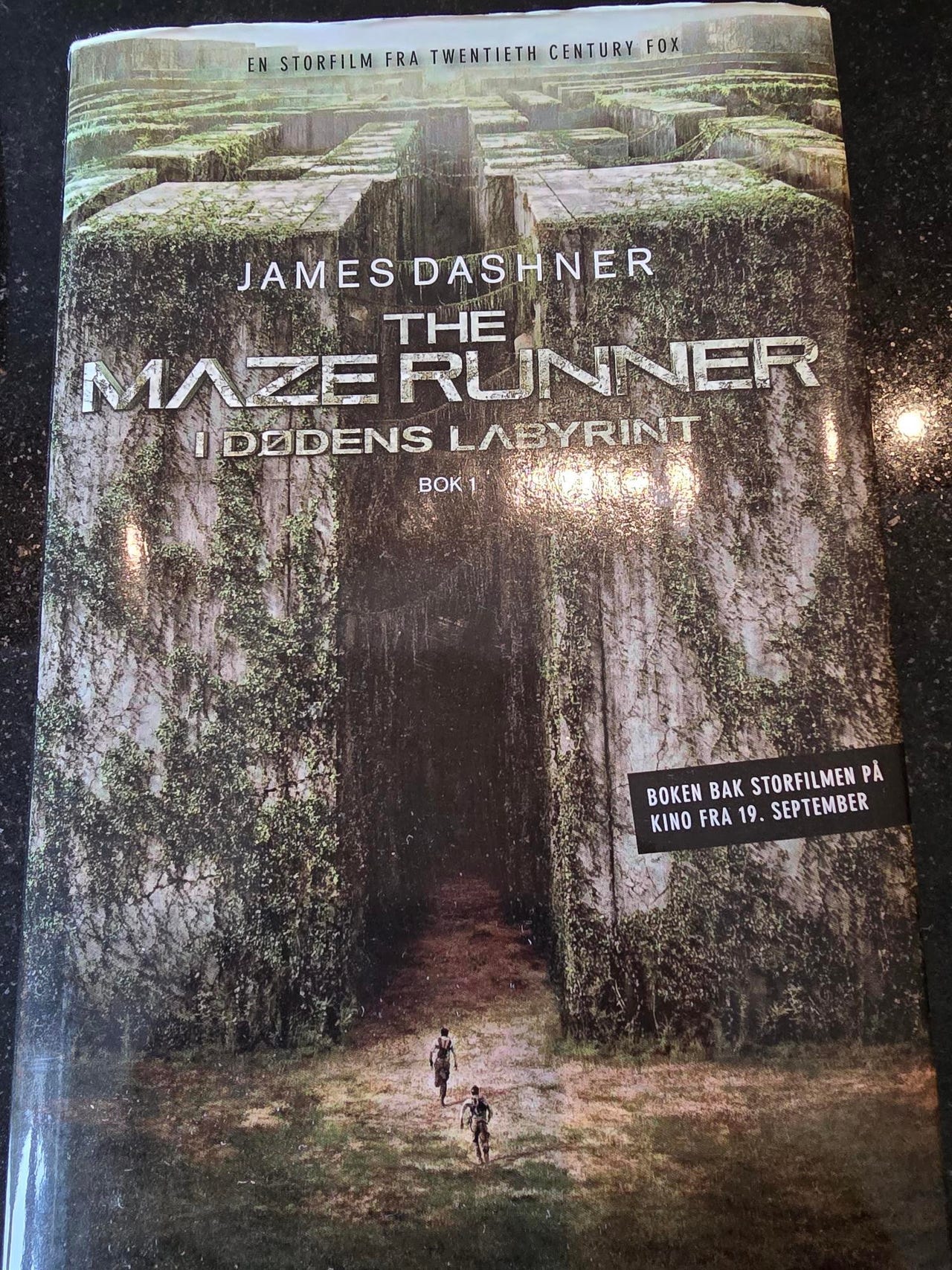 The Maze Runner - I dødens labyrint (Bok 1) | FINN torget