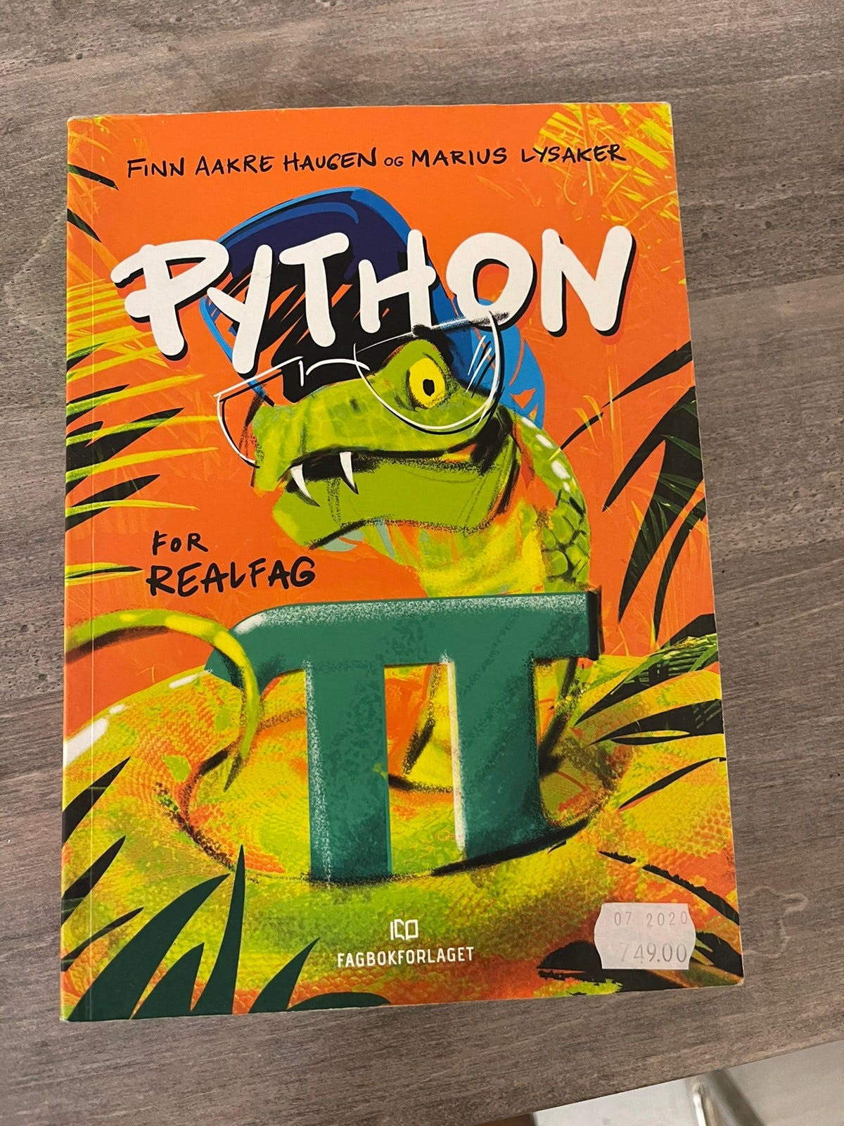 Python bok ingeniørlinjene | FINN torget