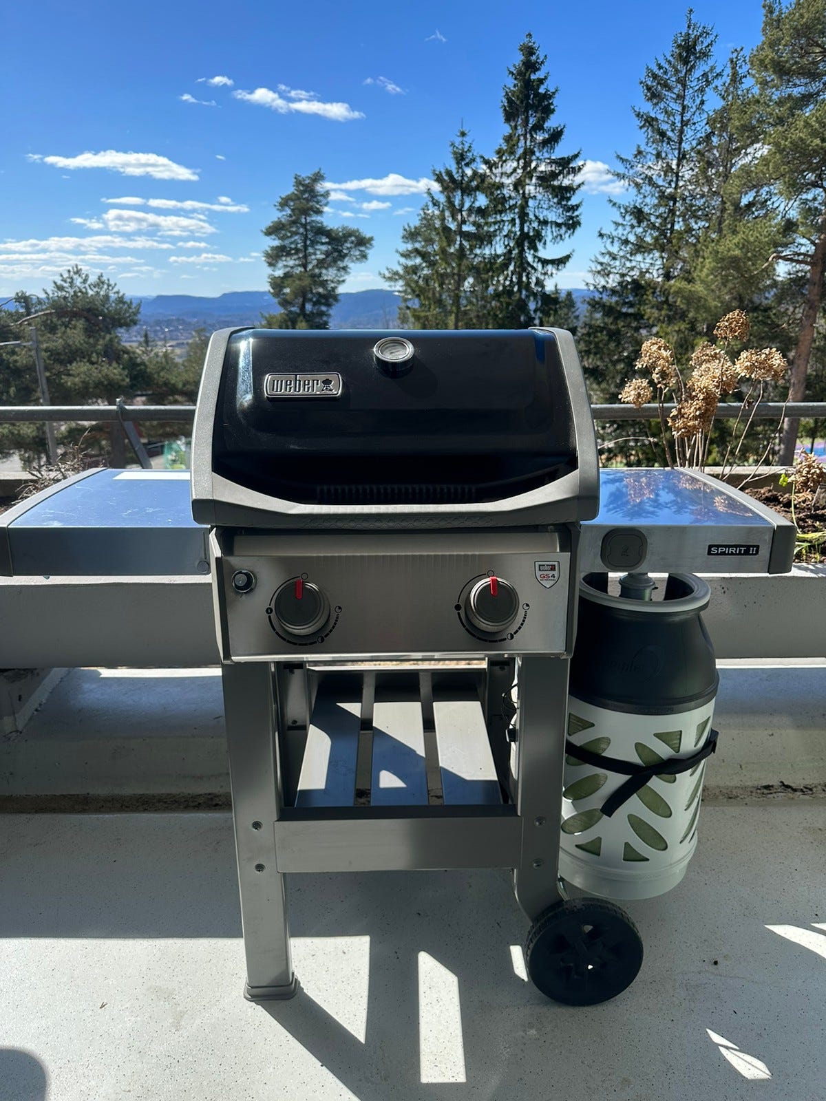 Weber Spirit II | FINN torget