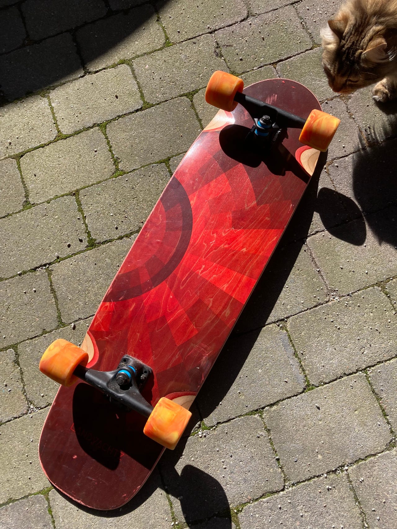 Landyachtz Rally Cat Cruiser | FINN torget