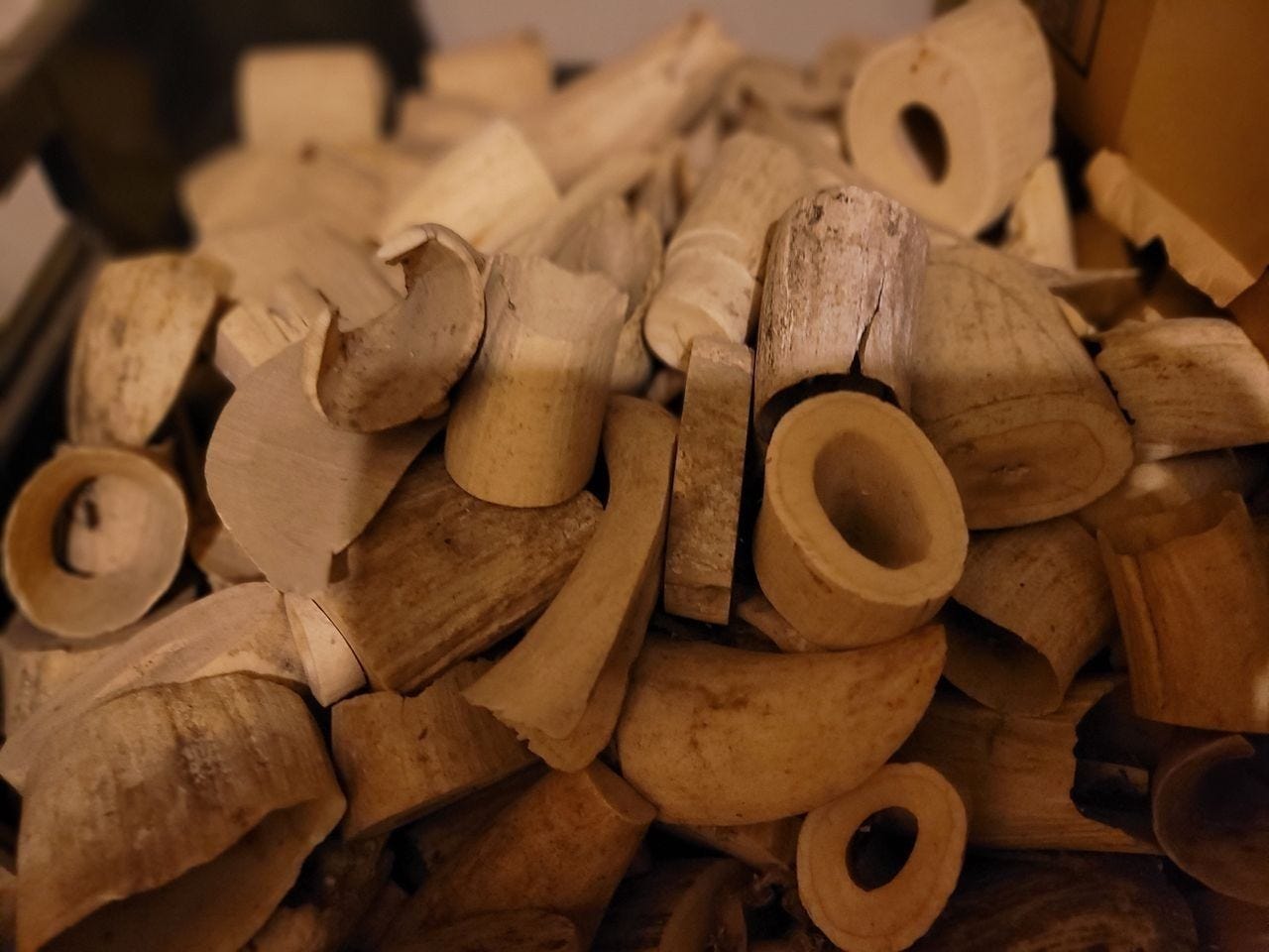 Havltann og Biter | FINN-torget