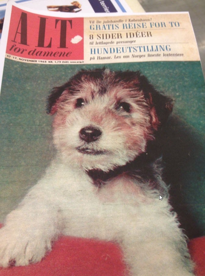 Gamle ukeblad spesielt Alt for damene 17. november 1965 | FINN-torget