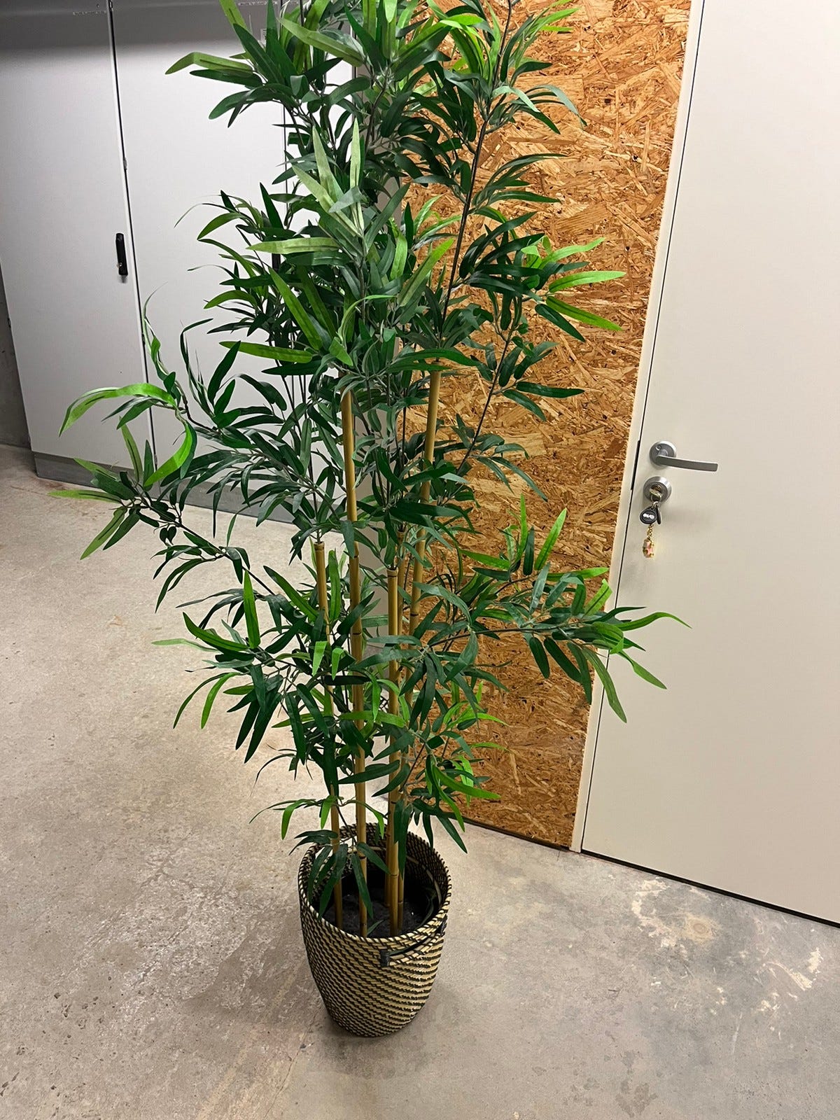 Plastikk (falsk) plante | FINN torget