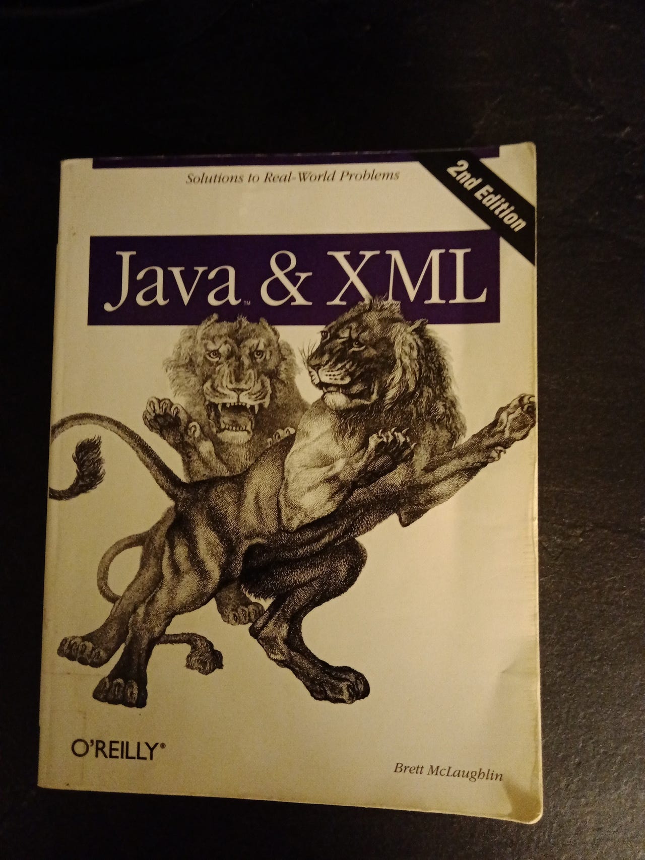 Java & XML, perfekt intro eller pensum | FINN-torget