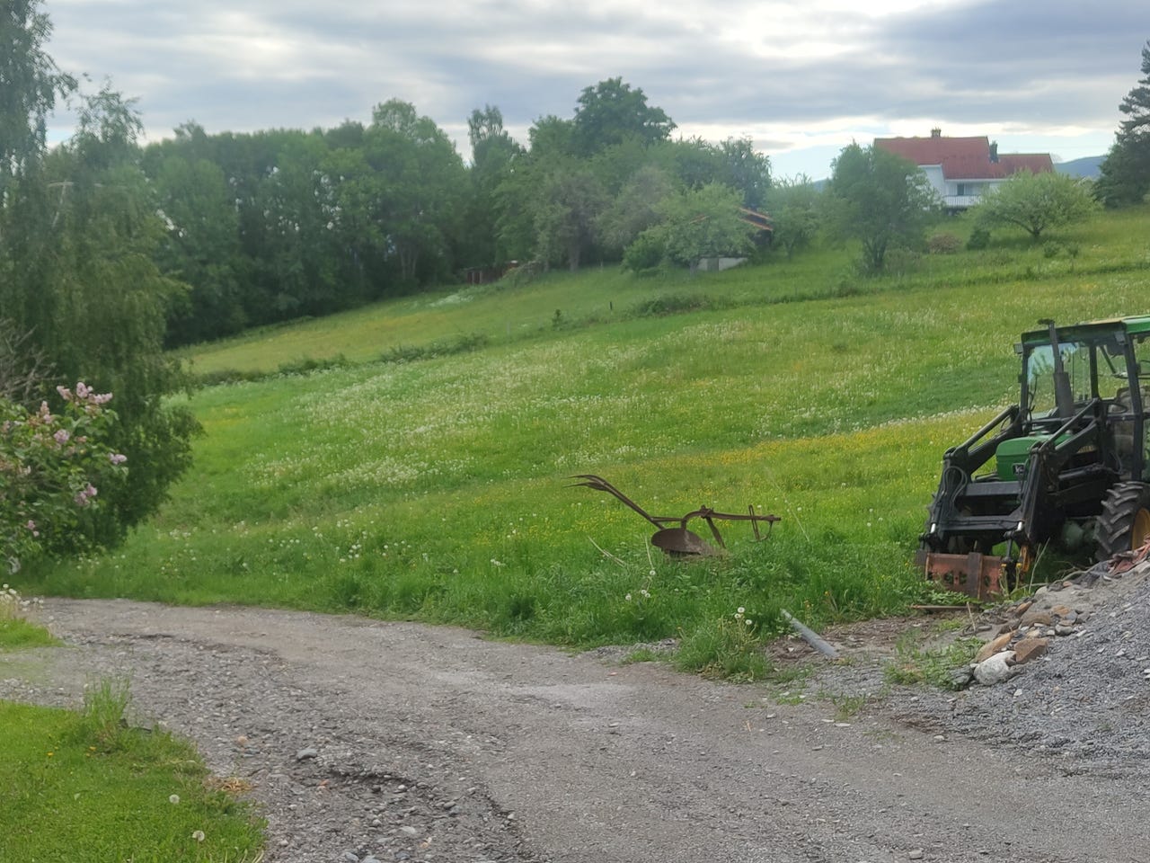 Beite/jorde leies ut | FINN-torget