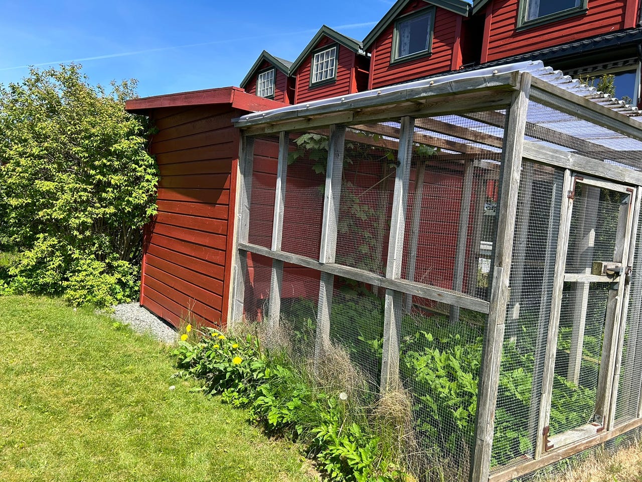 Hønsehus selges rimelig | FINN-torget