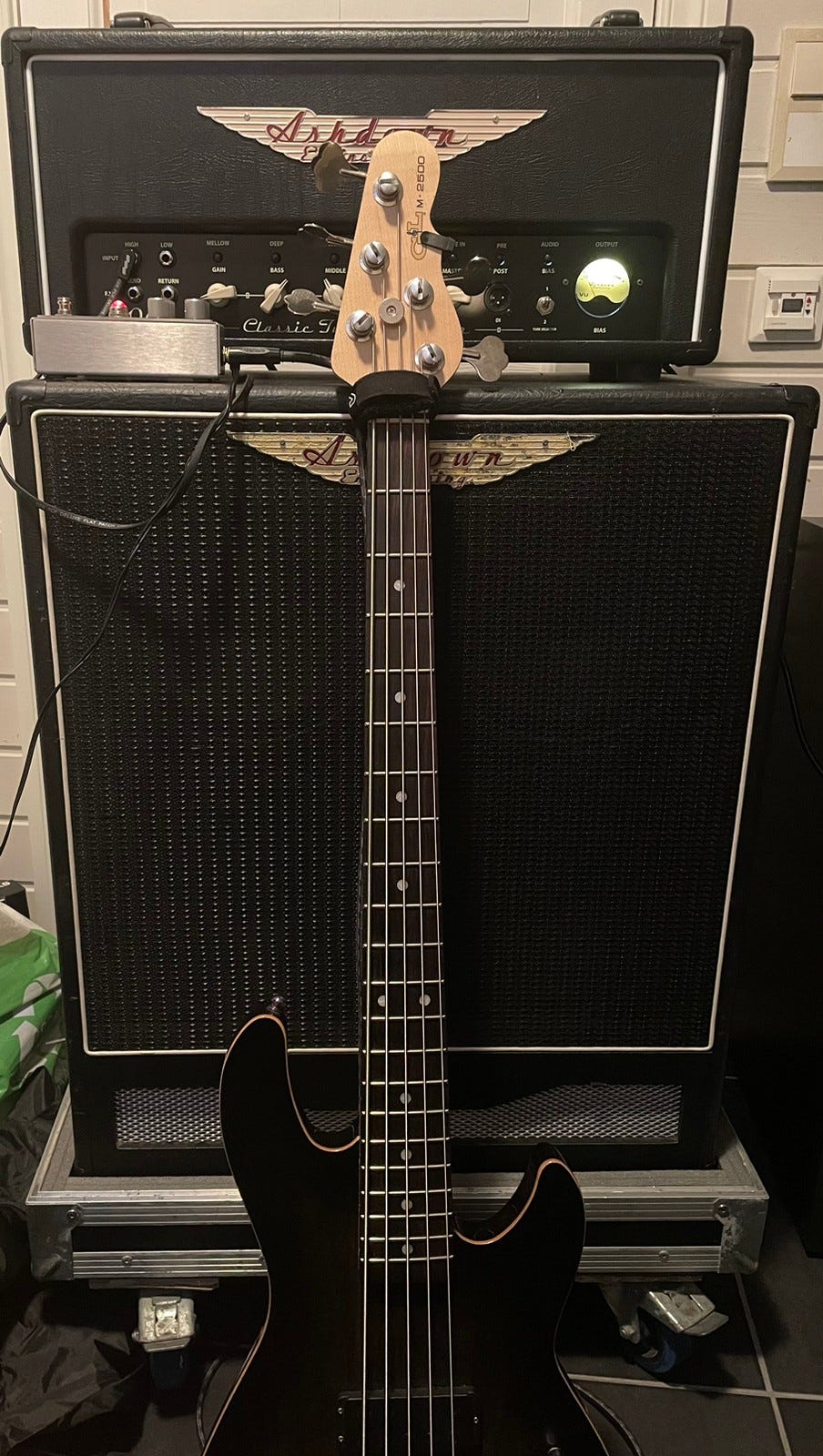 Ashdown CTM-100 med Klystron 4x10" | FINN-torget