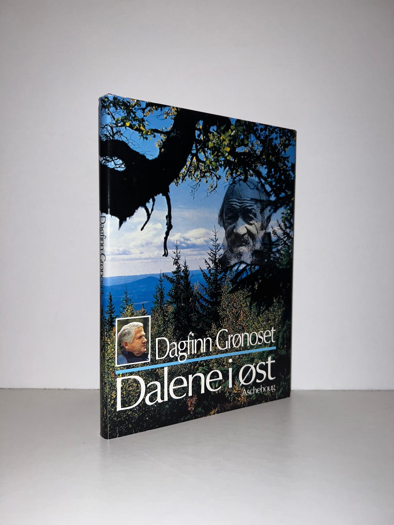 Dalene i øst - Dagfinn Grønoset. 1983 | FINN torget