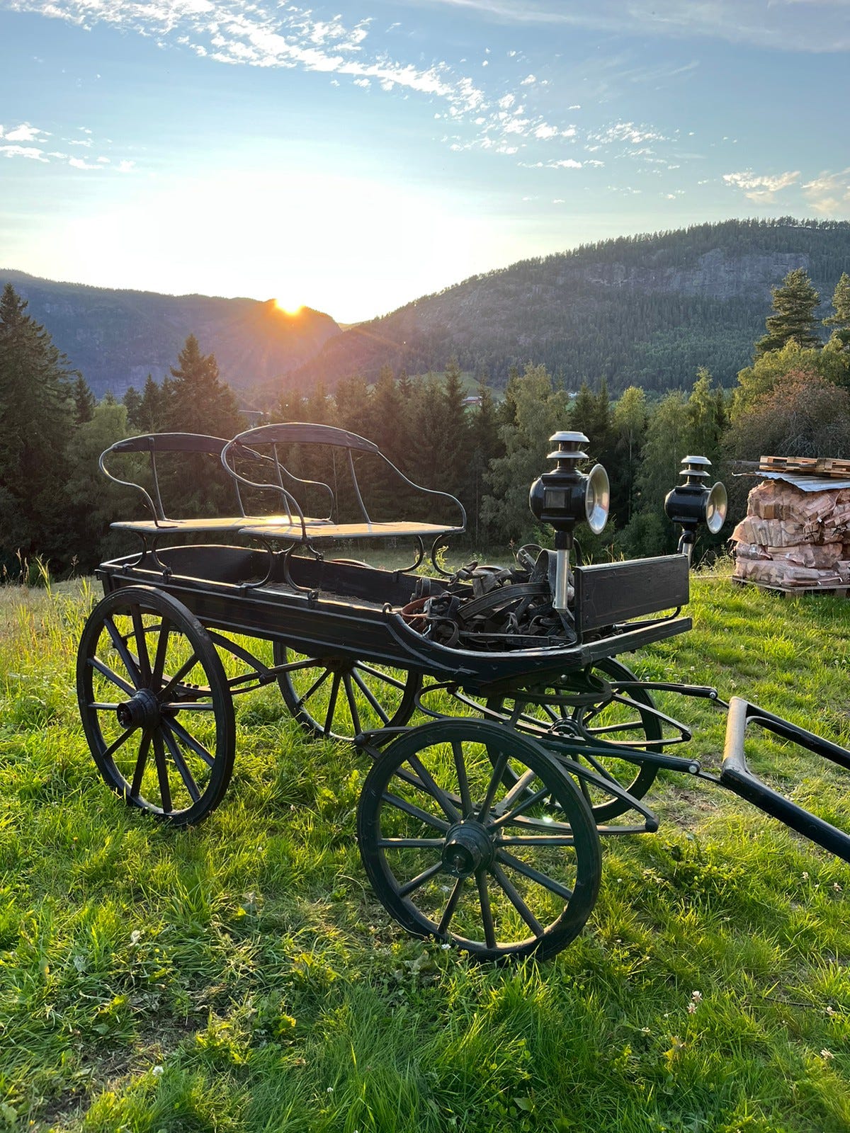 Hestevogner Karjol og Sluffe | FINN-torget