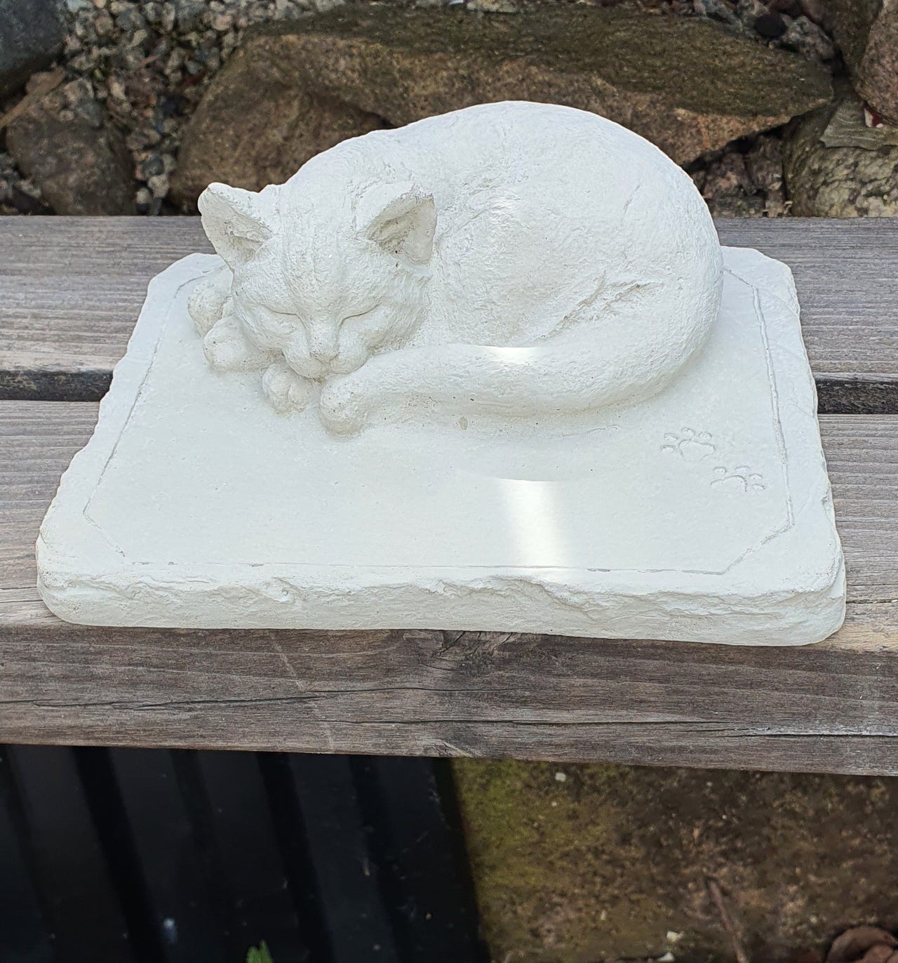 Sovende katt | FINN torget