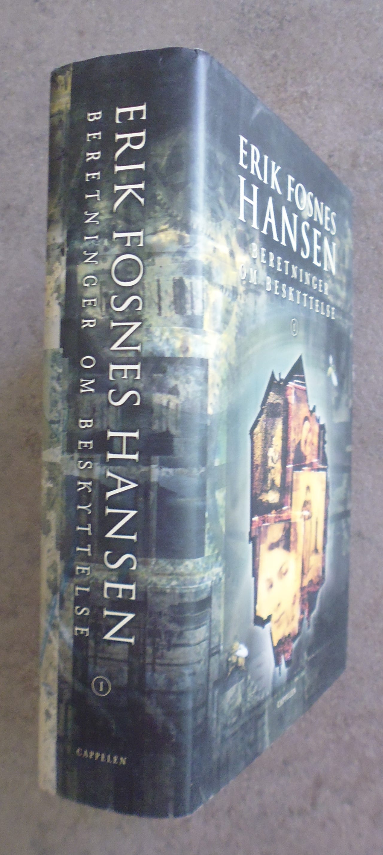 Erik Fosnes Hansen (signert): Beretninger om beskyttelse I. Natten ...