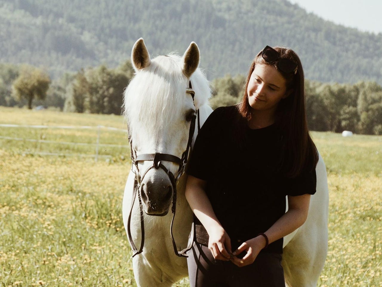 Connemara kat.1 ponni | FINN torget