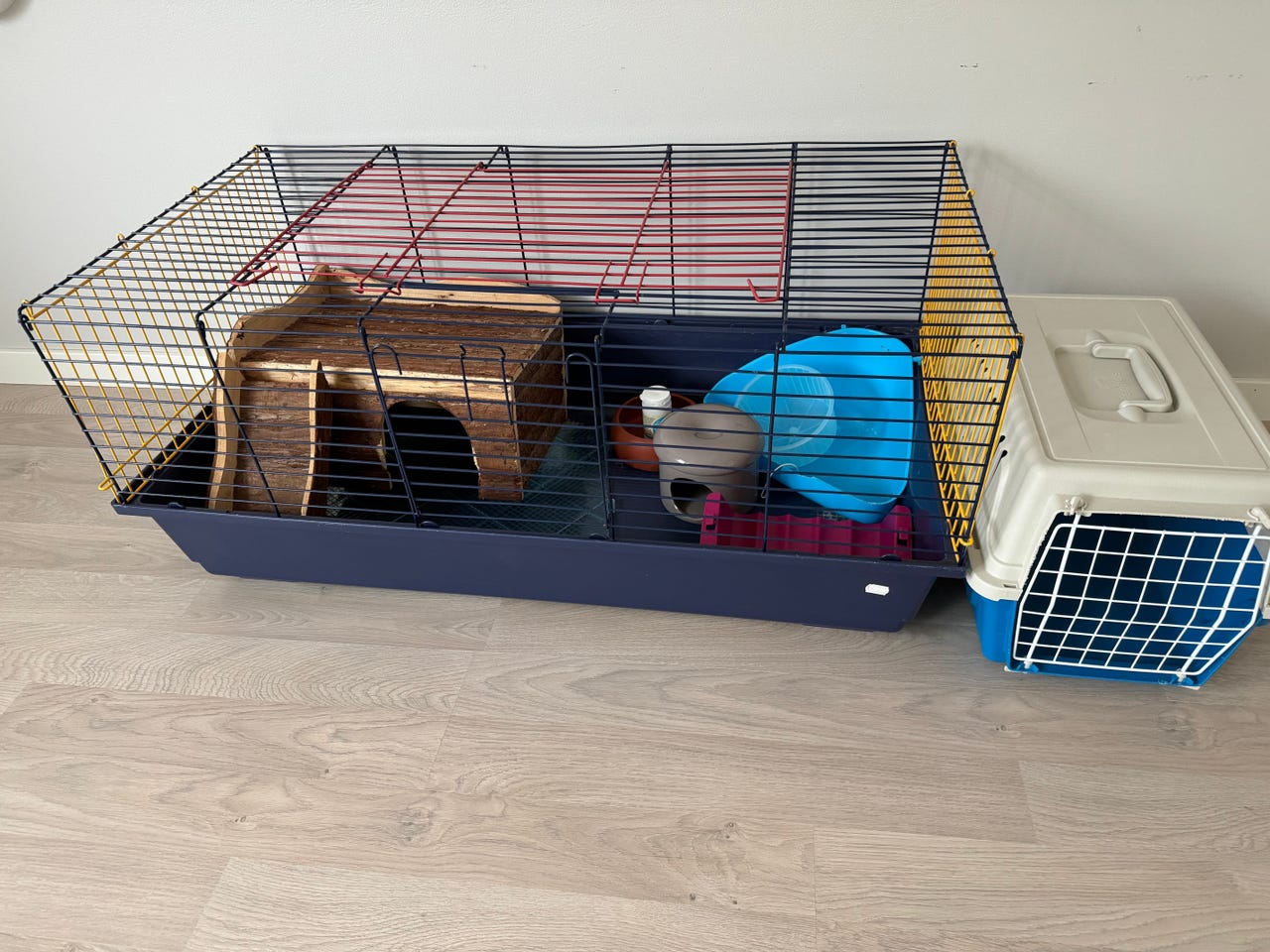 Marsvin bur med utstyr til salgs | FINN torget