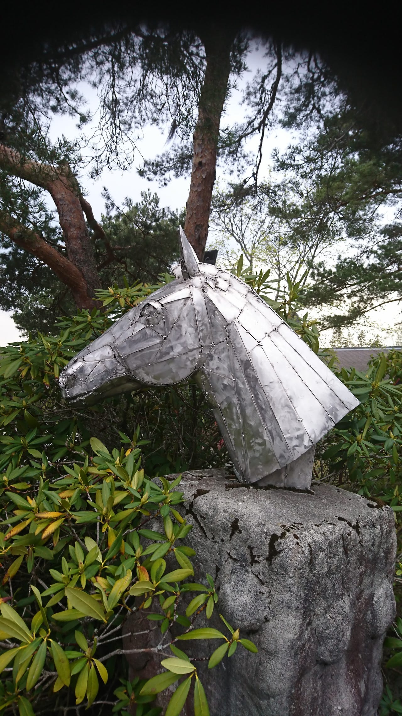 Bud Ønskes. Hestehode. Laget av Finn Henrik Bodvin | FINN-torget