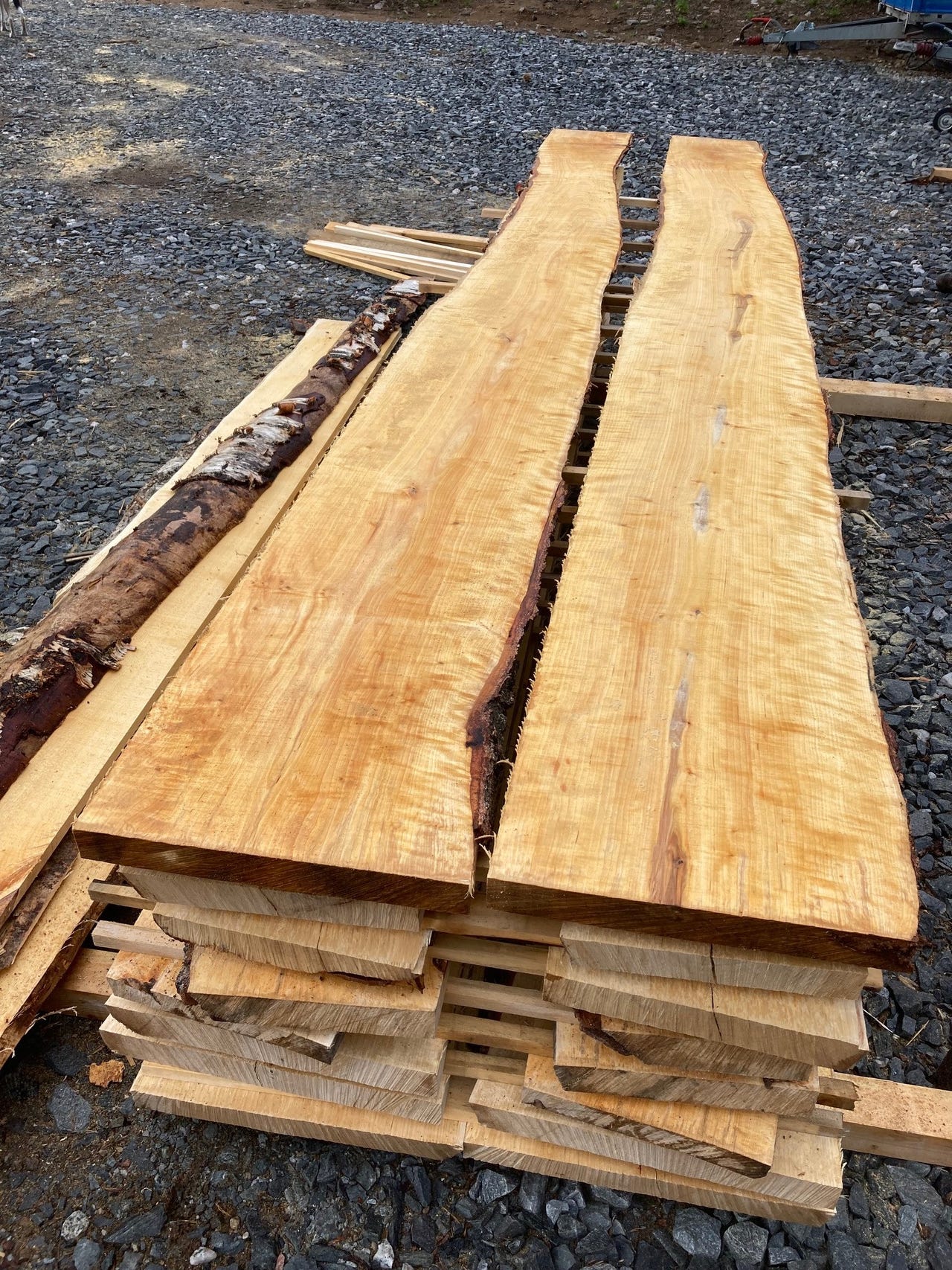 Matrialer til salgs. Furu, Gran, Osp, Eik, Bjørk | FINN-torget