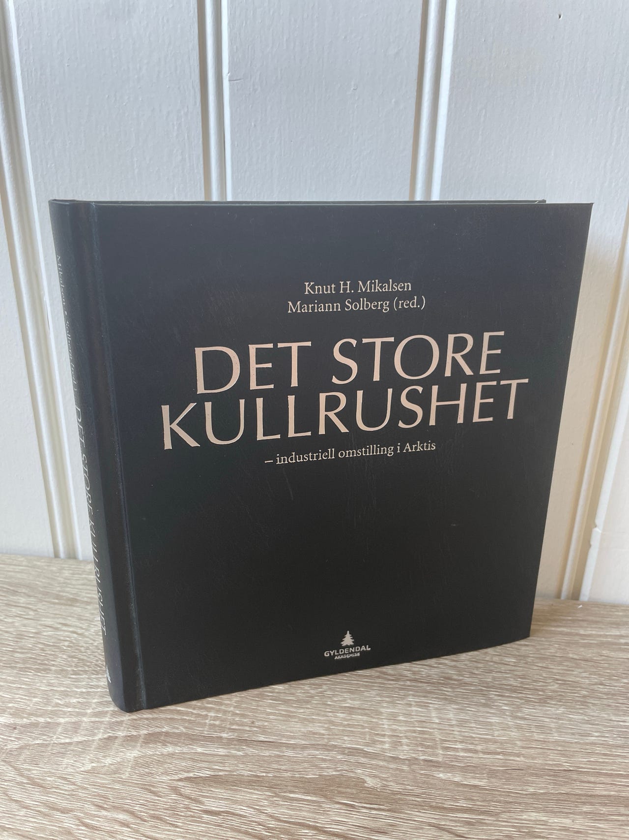 Det store kullrushet av Knut Mikalsen og Mariann Solberg | FINN-torget