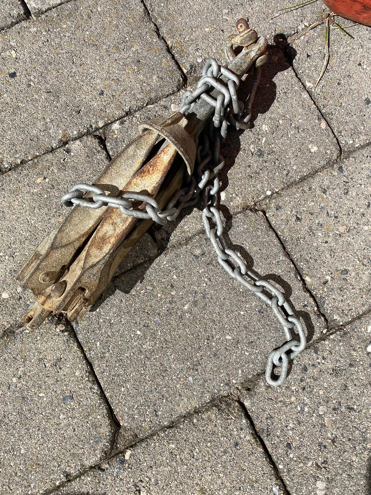 Liten dregg | FINN torget