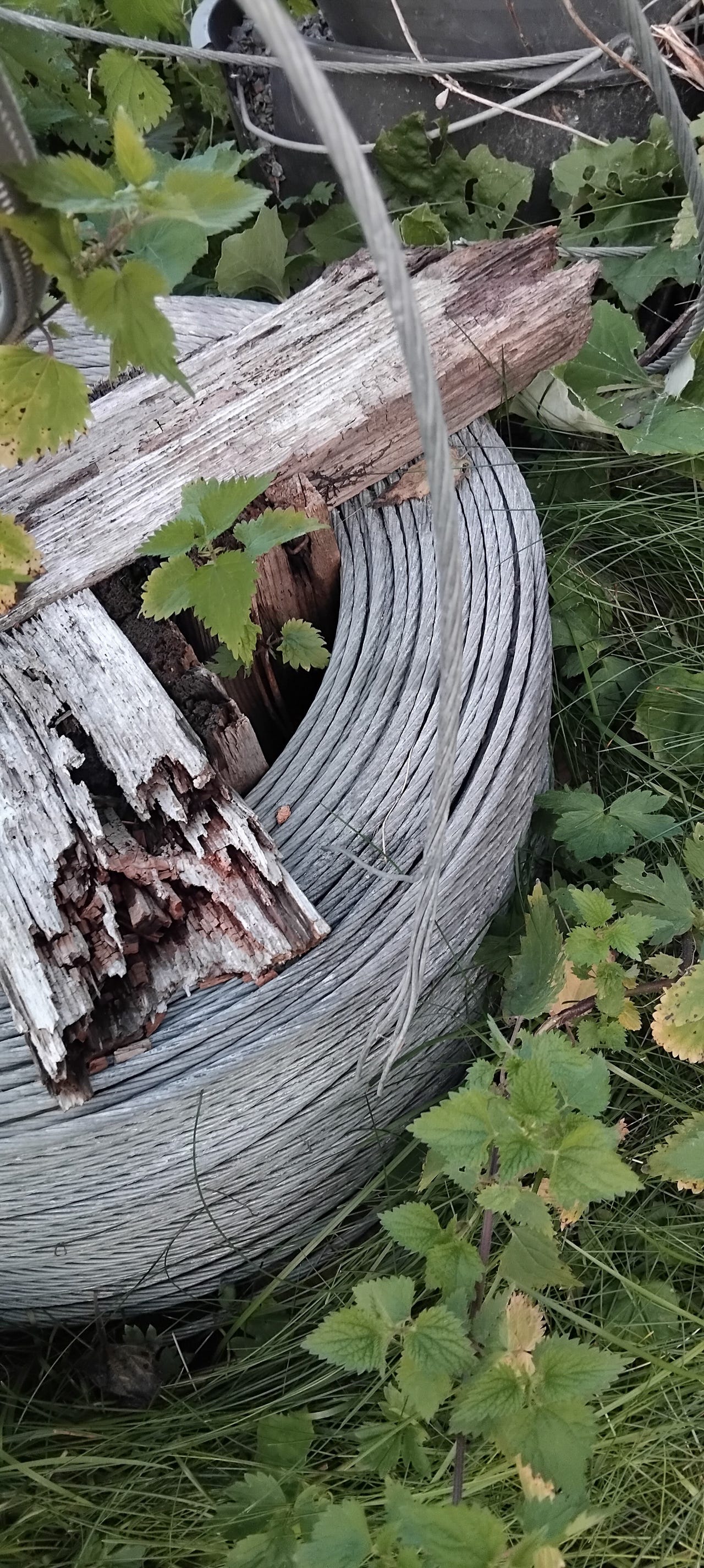 Rustfri vaier 8 mm 2000 kr | FINN torget