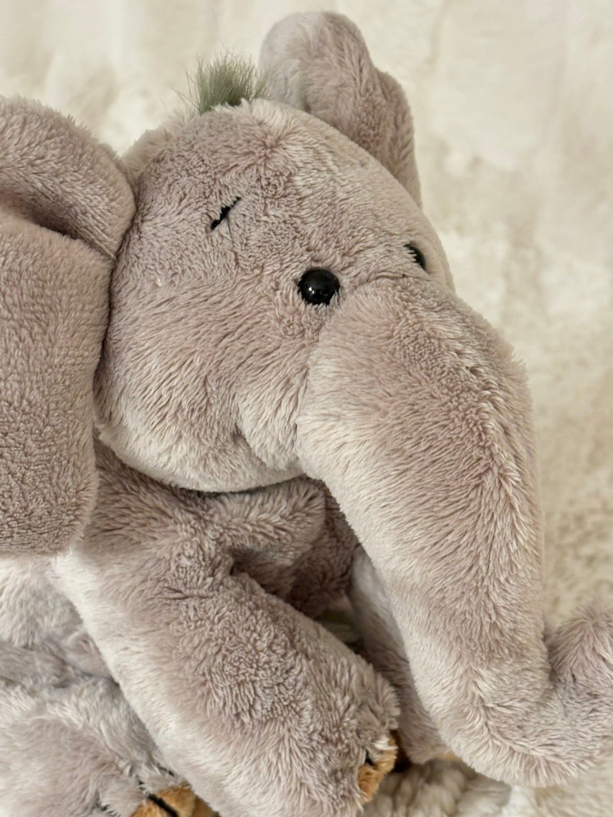 Supermyk og søt Schaffer elefant | FINN torget