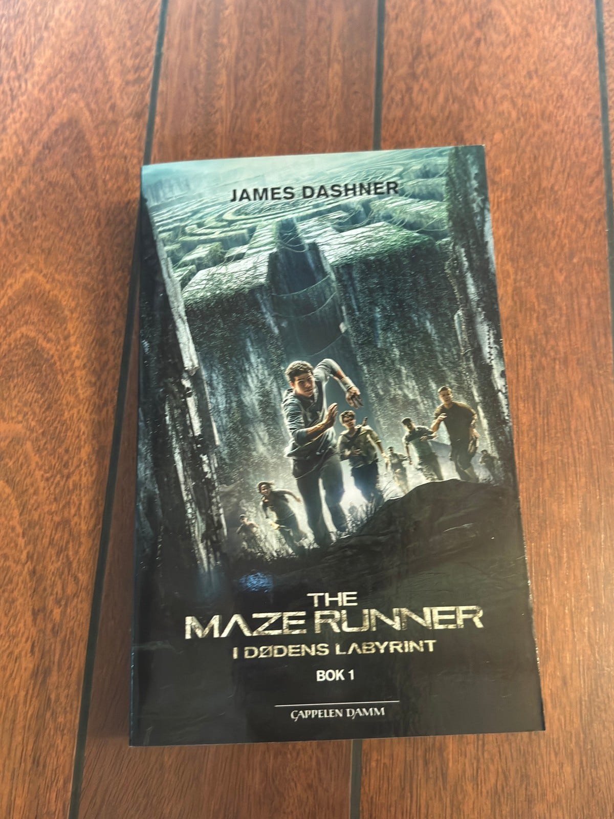 «Dødens Labyrint» Bok 1 av James Dashner (Maze Runner) | FINN-torget