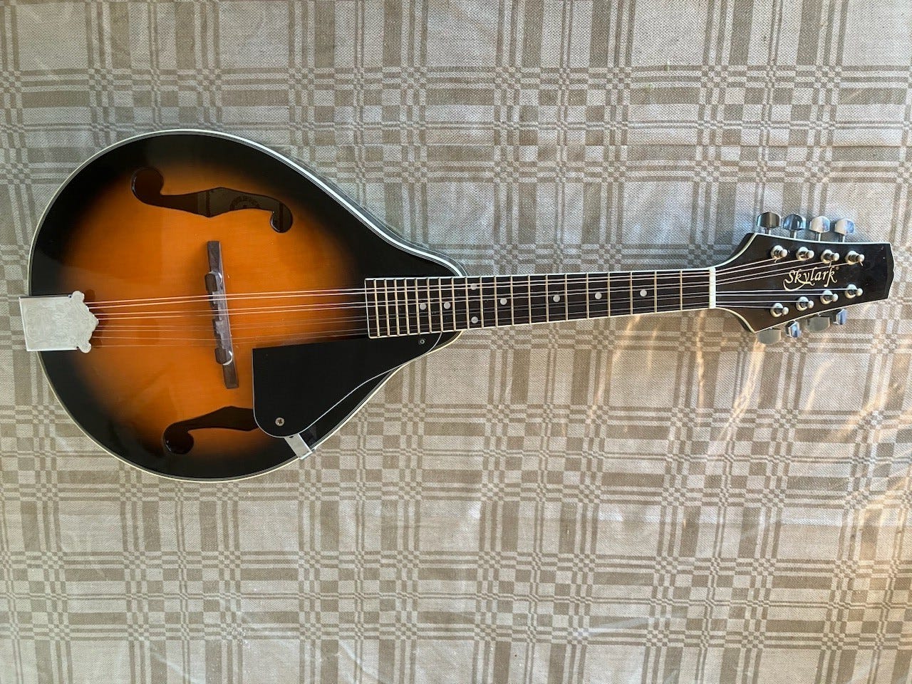 Nydelig Skylark mandolin | FINN torget