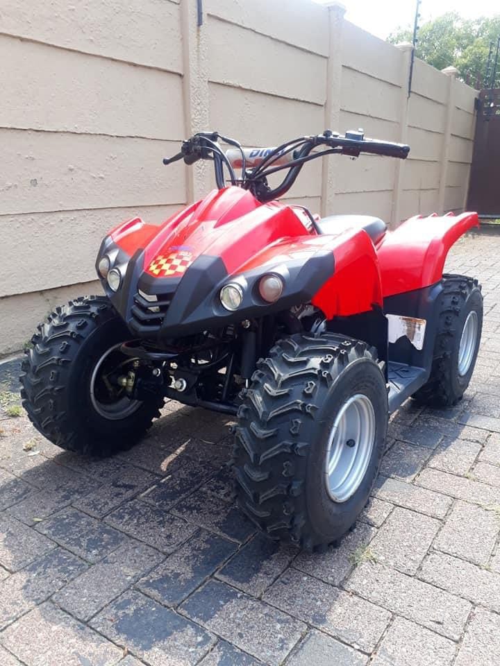 Dinli dino/mini | FINN torget