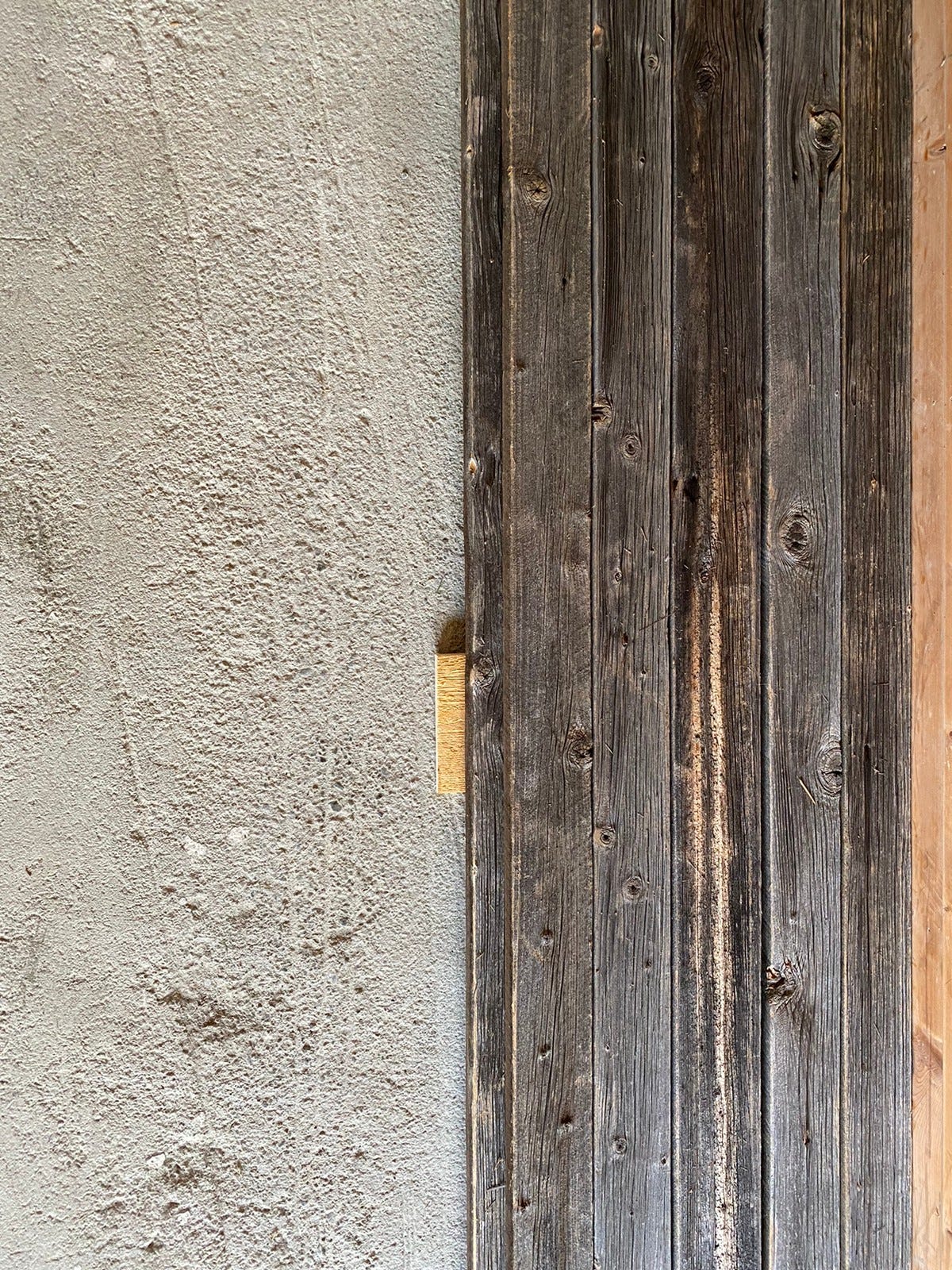 Solsvidd/Værbitt /drivved panel | FINN-torget