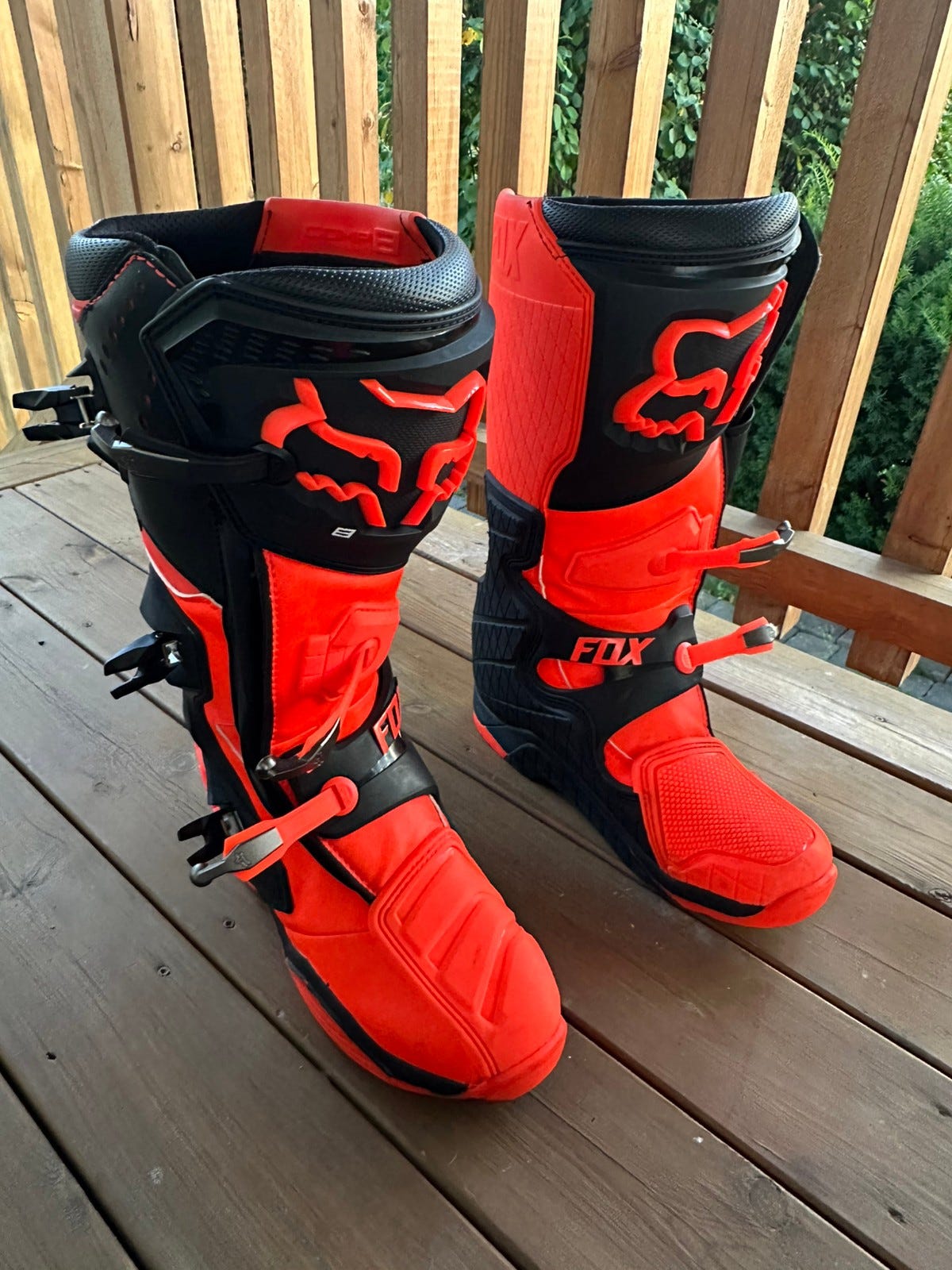 Fox comp 8 | FINN torget