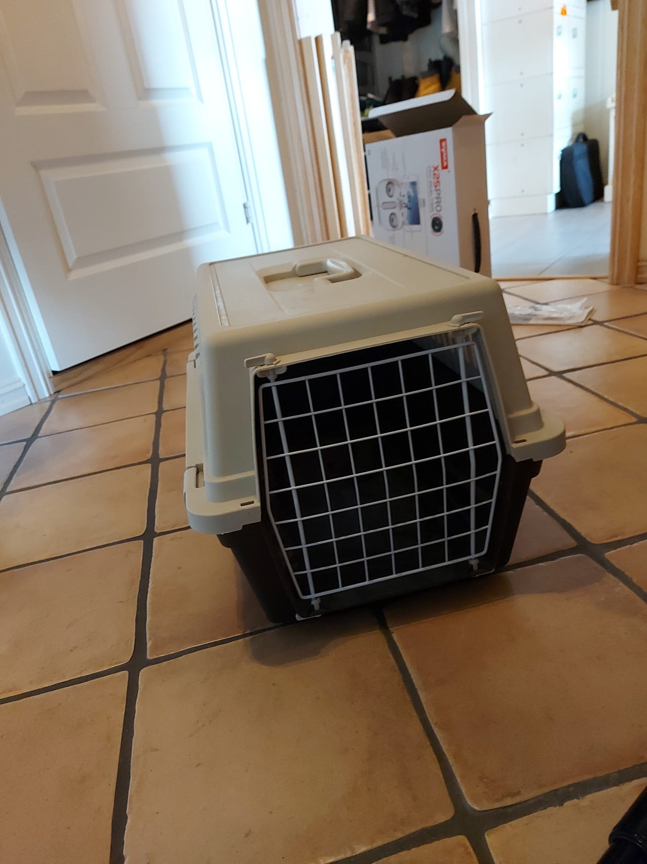 Bur i hardplast til katt eller liten hund selges | FINN torget