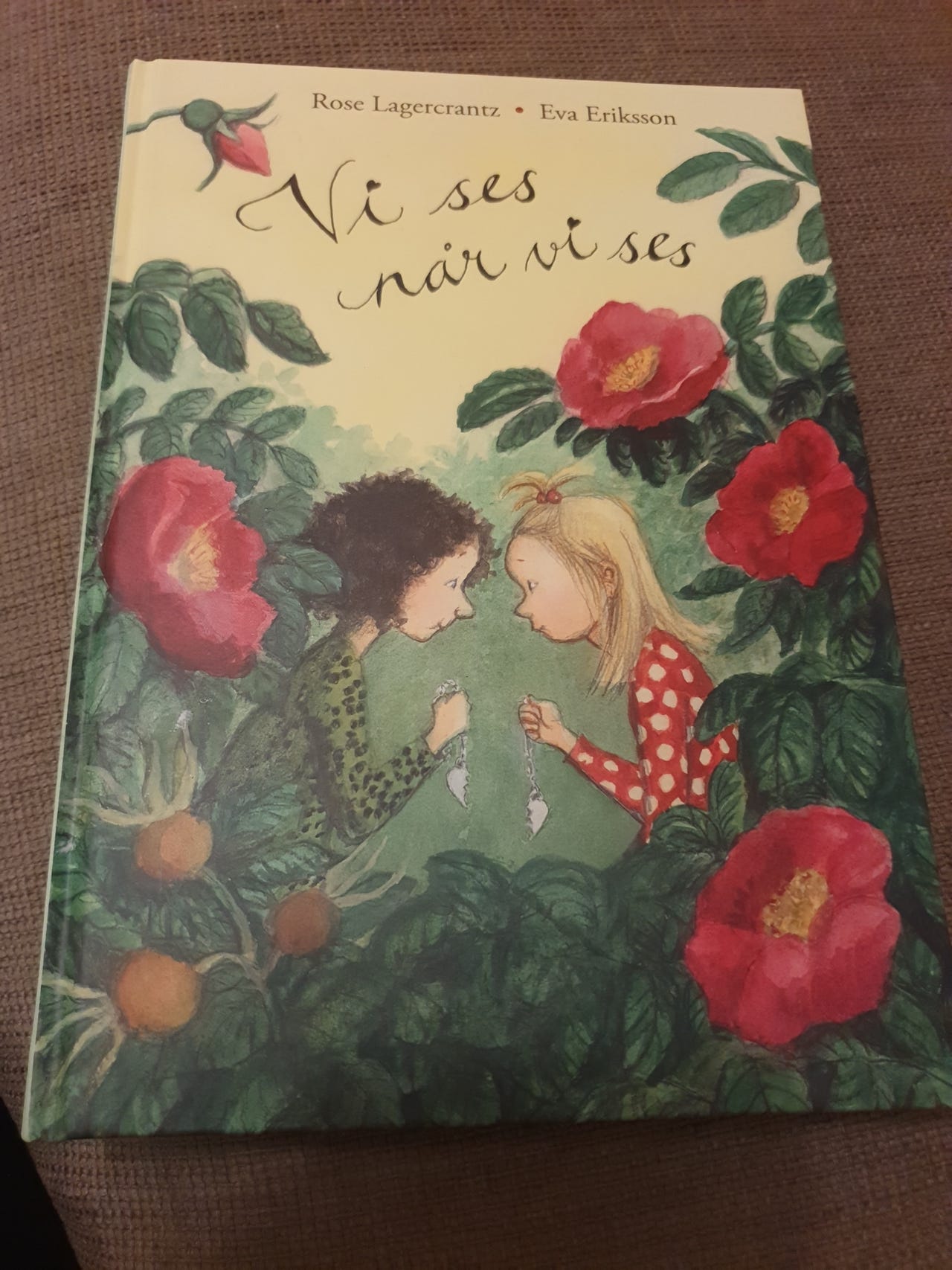 Vi ses når vi ses - Rose Lagercrantz og Eva Eriksson | FINN torget