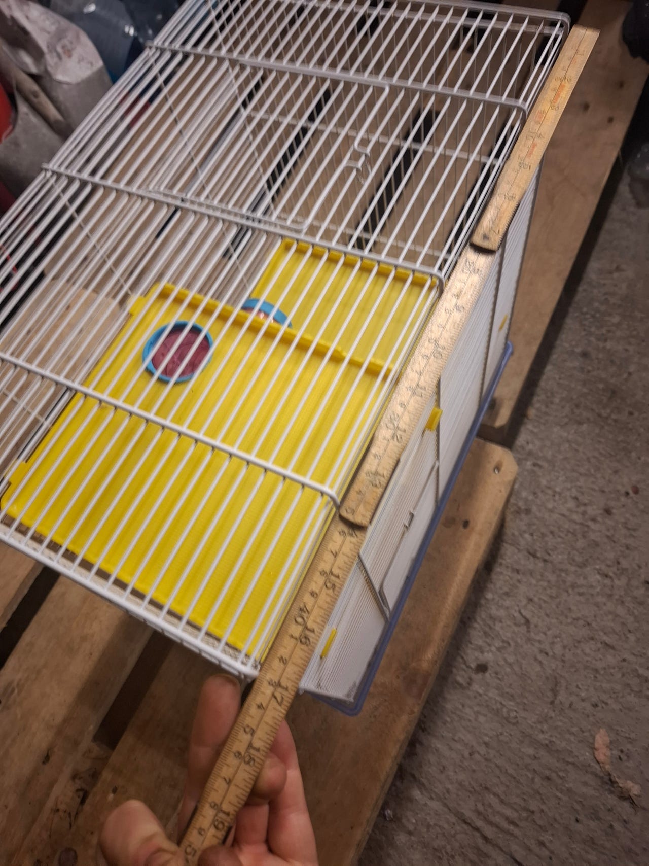 Hamster bur med utstyr | FINN-torget