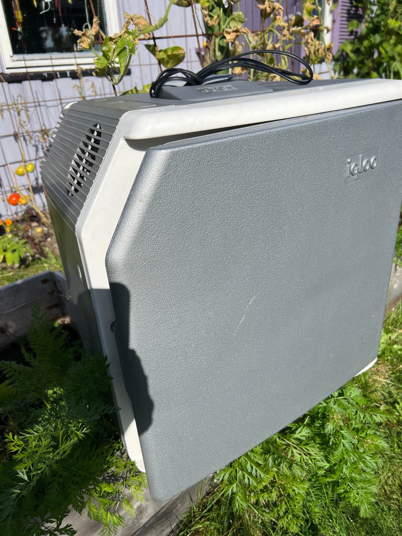 Igloo kjøleboks | FINN torget