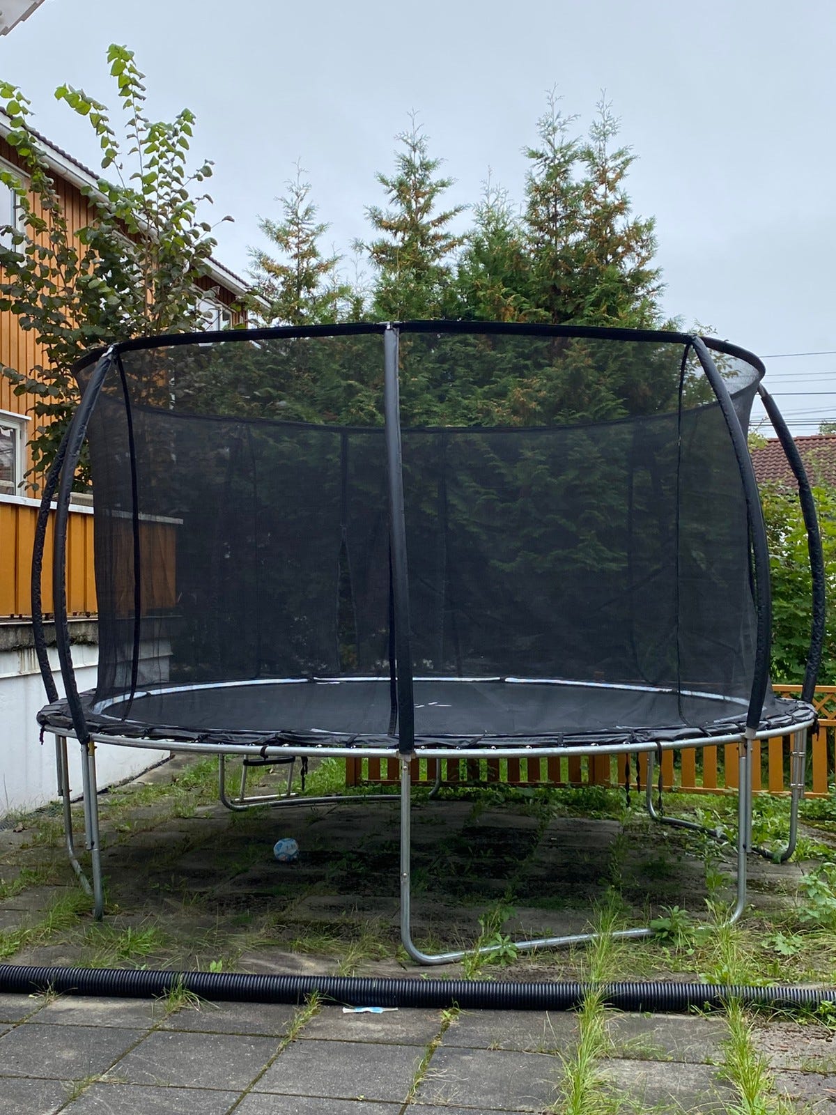Trampoline i stor størrelse | FINN-torget