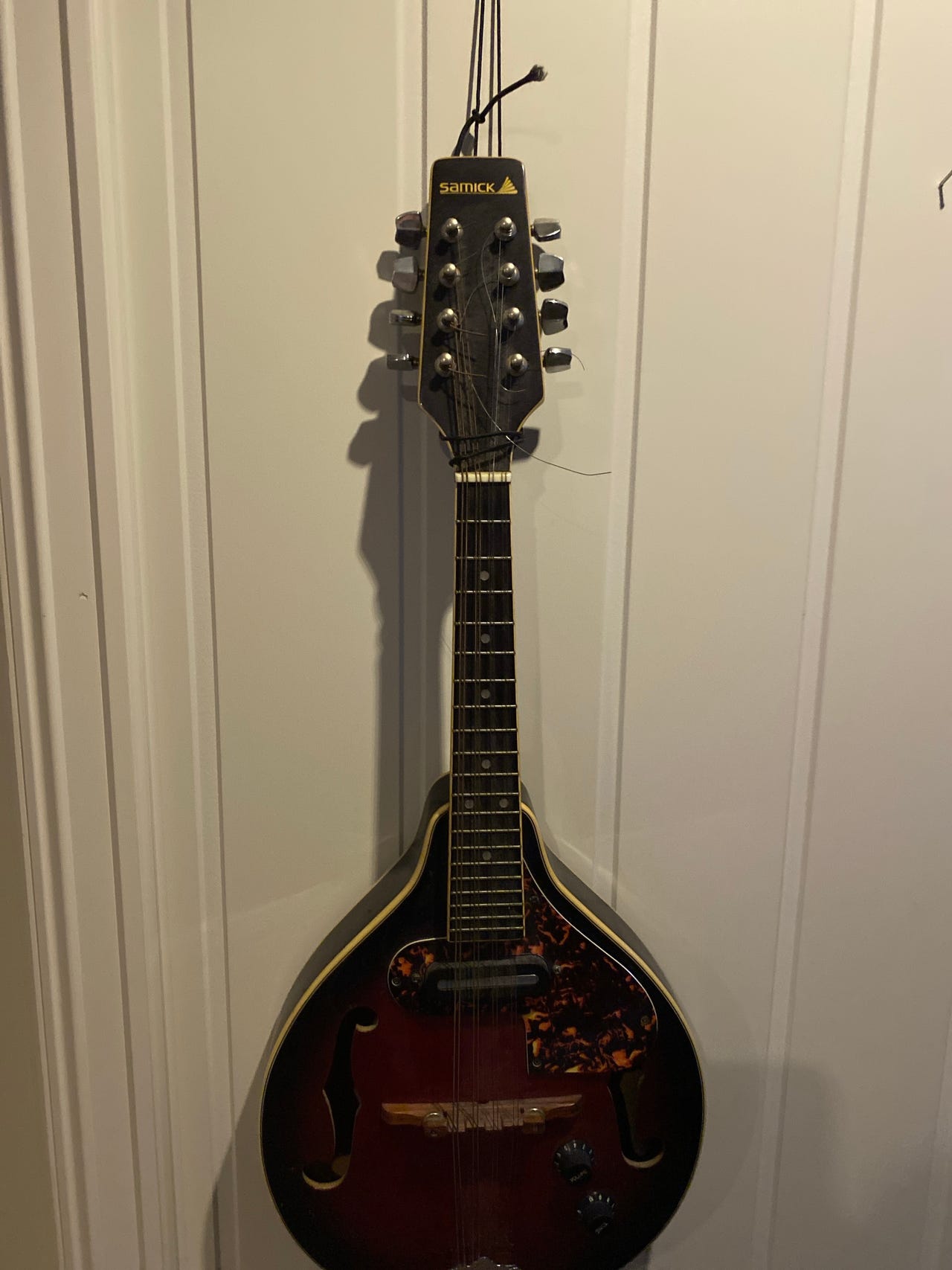 Samick mandolin, elektrisk. | FINN-torget