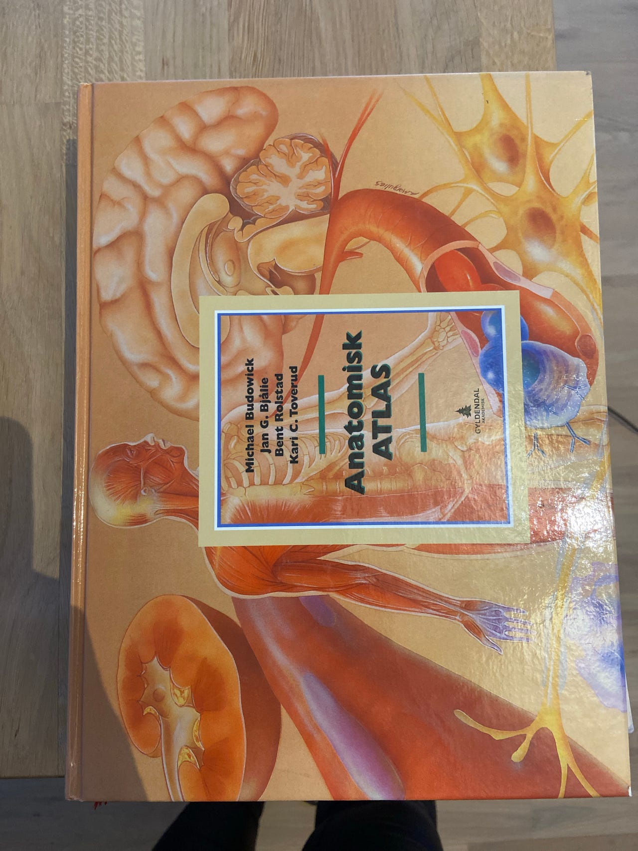 Anatomisk Atlas | FINN-torget
