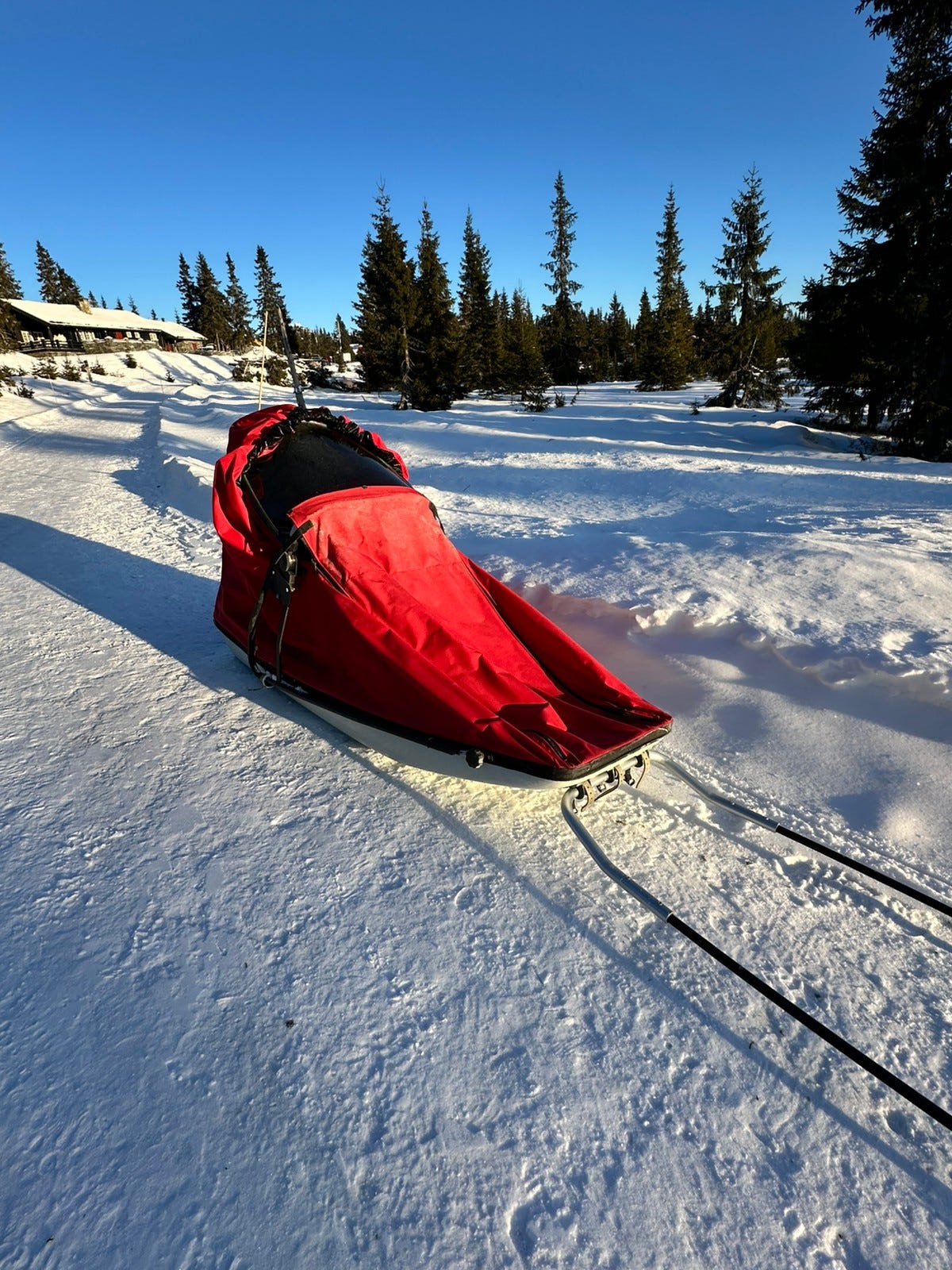 Pulk for små og større barn. | FINN-torget