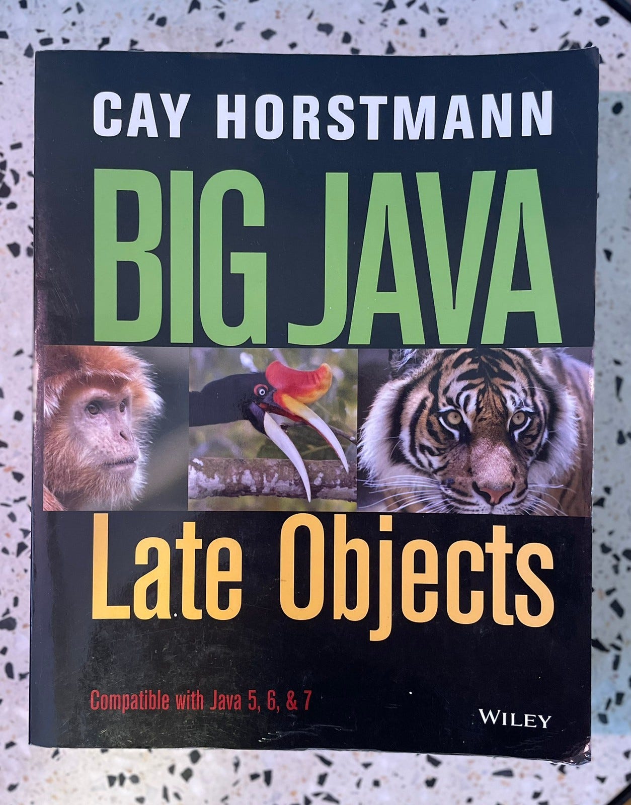 Big Java - Late Objects | FINN-torget