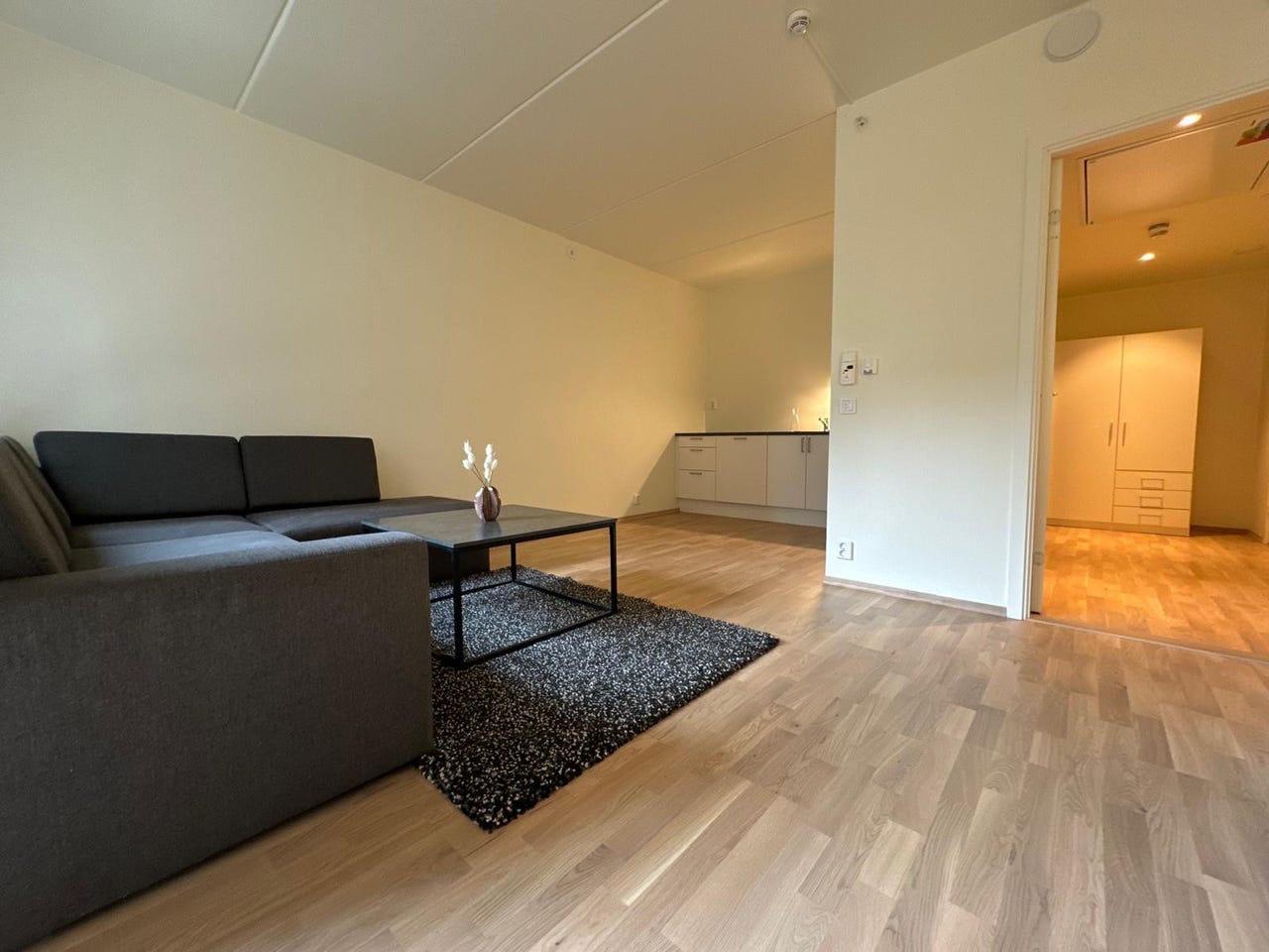 Moderne 1-roms med sovealkove og markterrasse – Sentral beliggenhet på ...