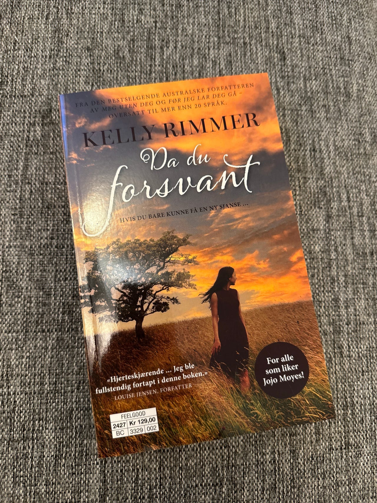 Kelly Rimmer - Da du forsvant | FINN-torget