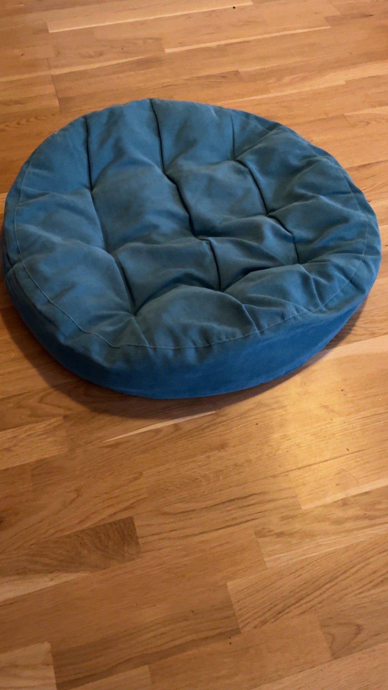 Sittepute/pute til hund | FINN-torget