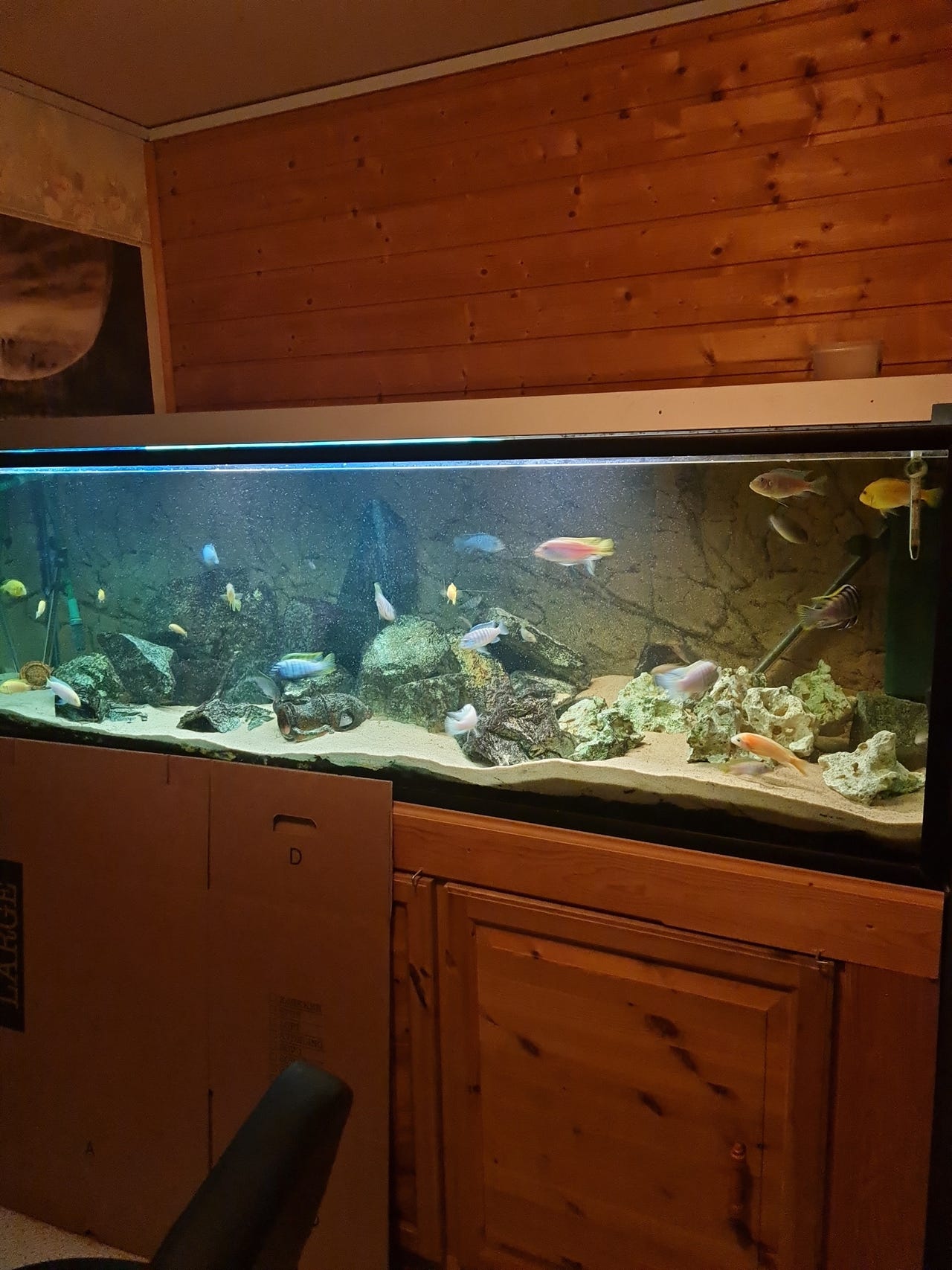 Juvel 720liter akvarie med mye utstyr tilsalgs | FINN-torget