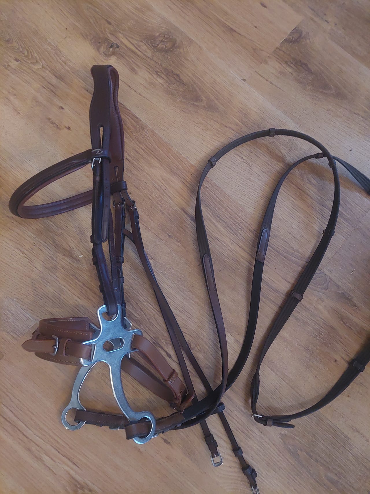 Hackamore Dyon hodelag | FINN-torget