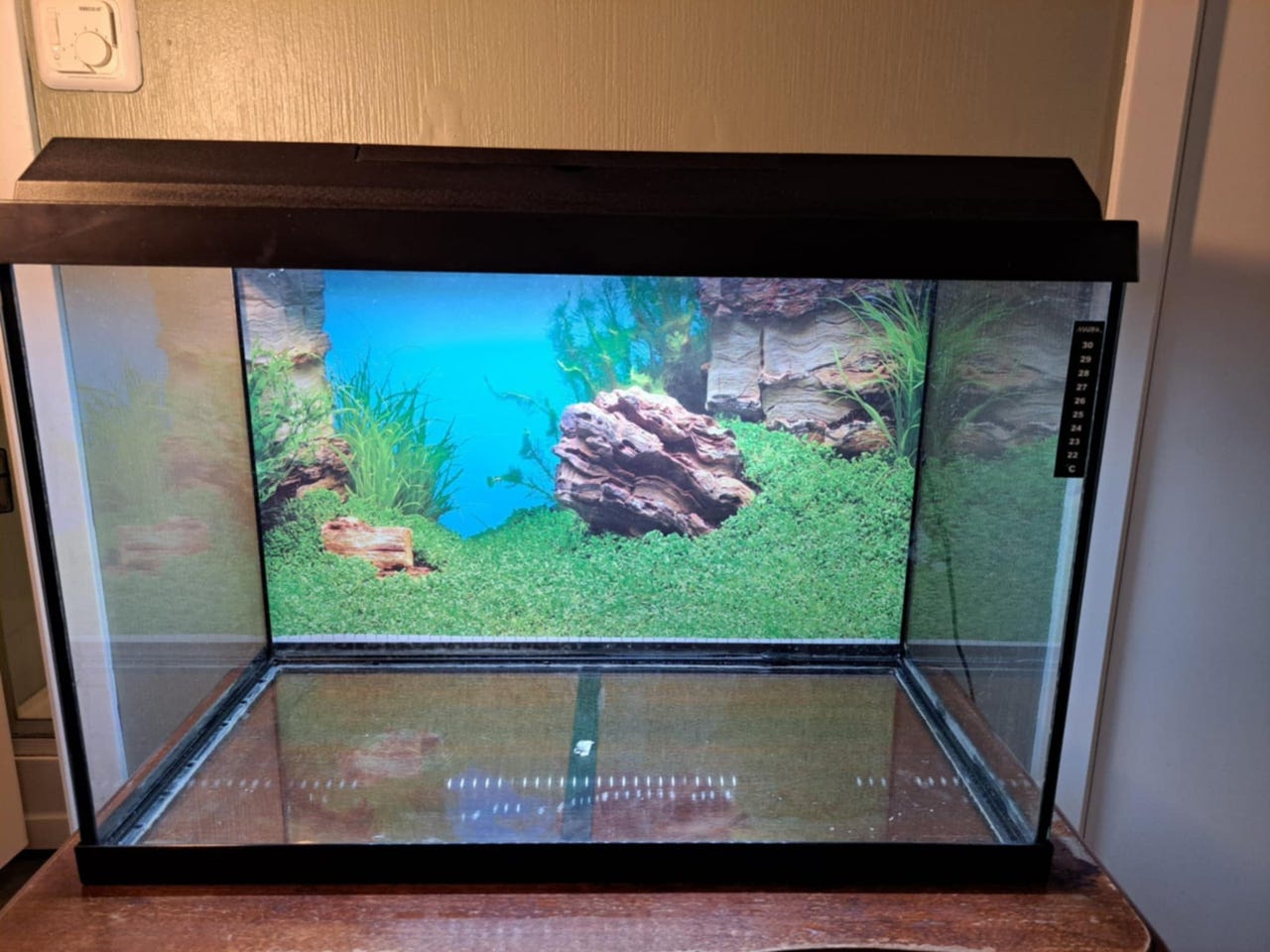 Akvarium m/ alt utstyr | FINN-torget