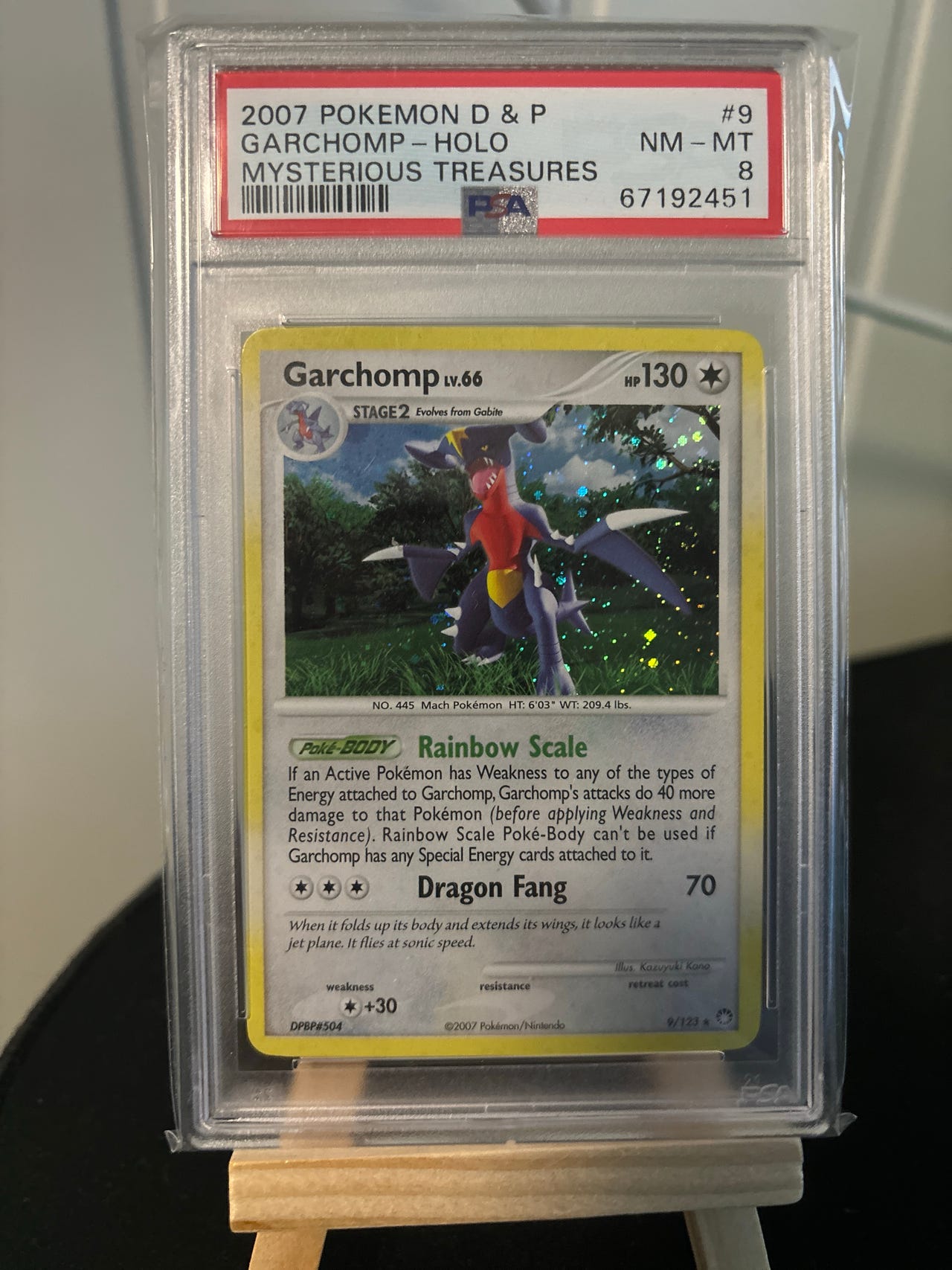 Pokemon Garchomp🦖 | FINN-torget