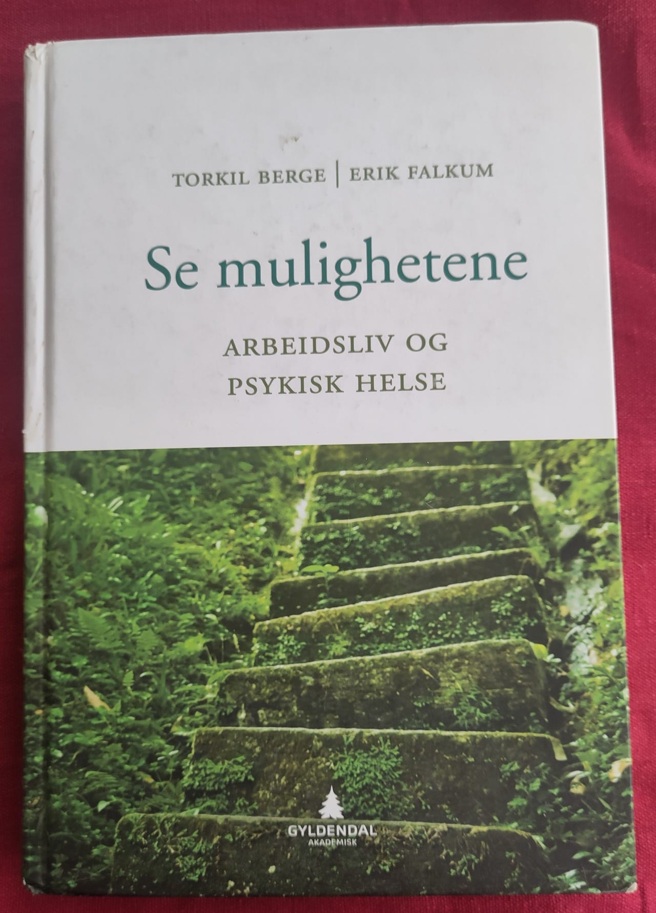 Se mulighetene, Torkil Berge, Erik Falkum, 2013 | FINN-torget